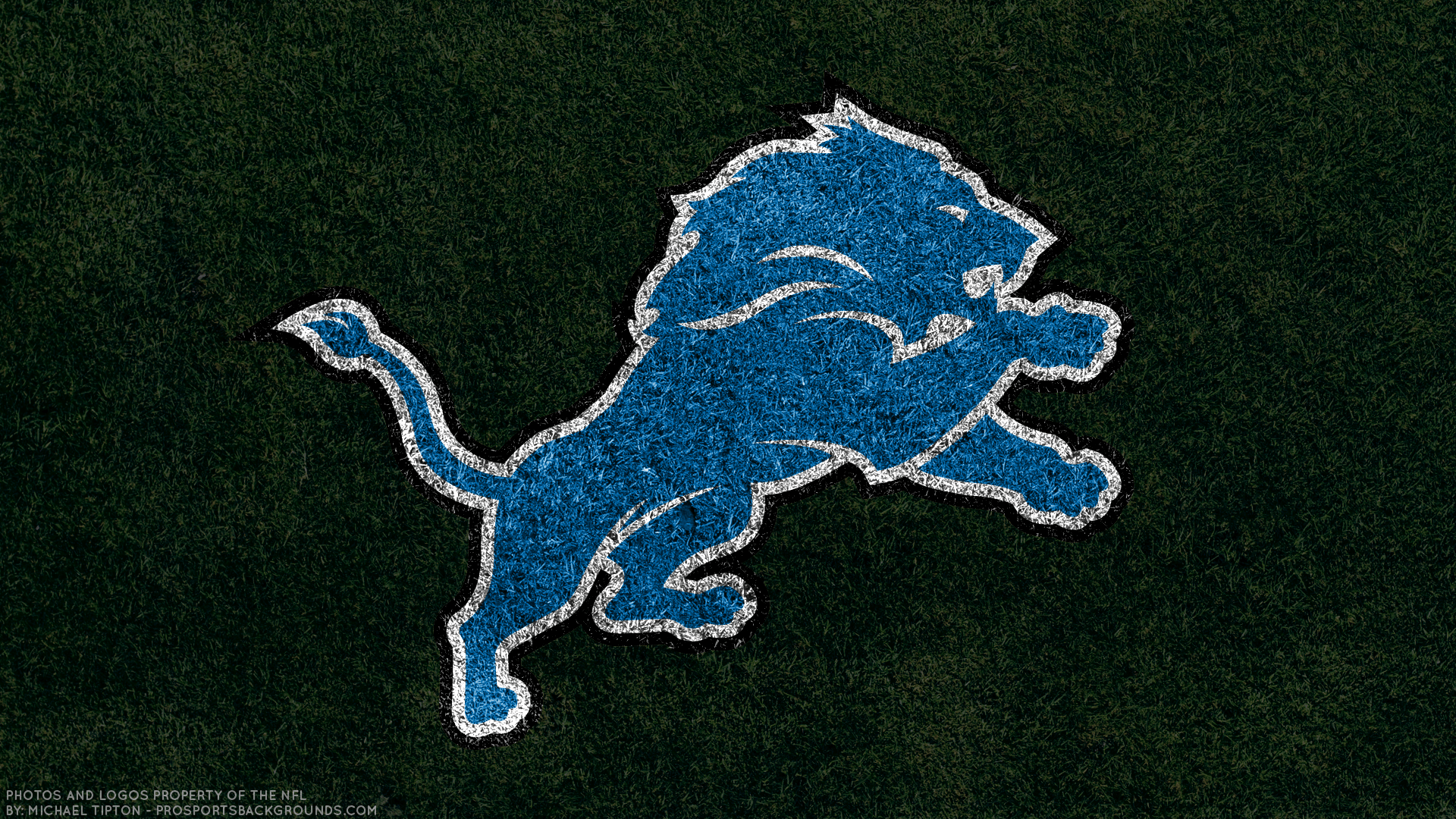 Detroit Lions Desktop Wallpapers - Top Free Detroit Lions Desktop ...