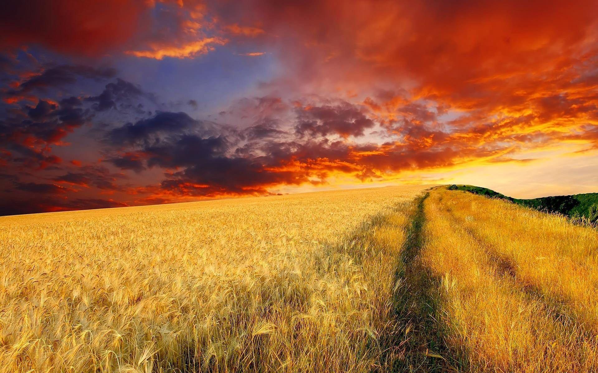 Farmland Wallpapers - Top Free Farmland Backgrounds - WallpaperAccess