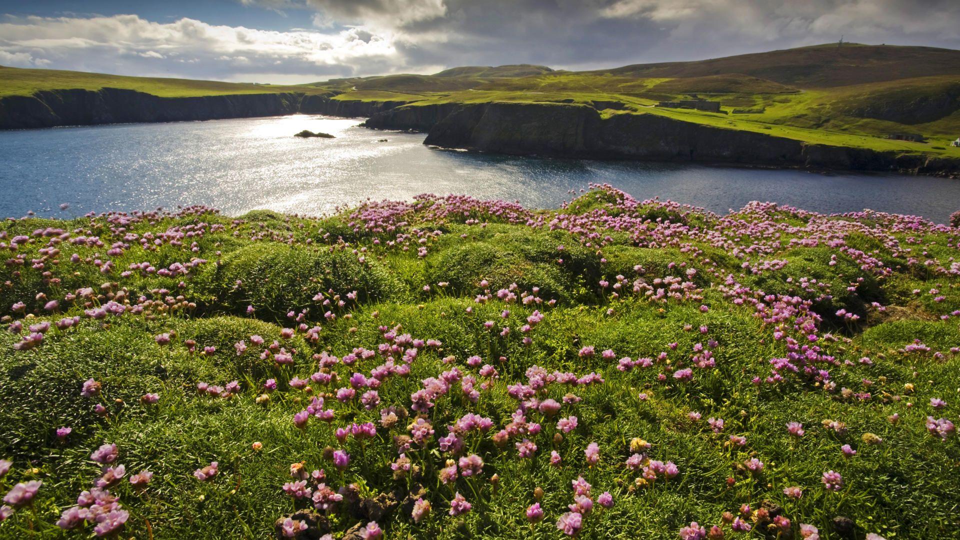 Shetland Islands Wallpapers - Top Free Shetland Islands Backgrounds ...