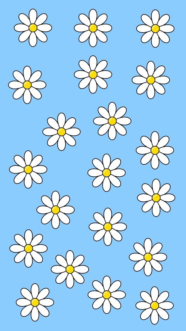 Blue Daisy Wallpapers - Top Free Blue Daisy Backgrounds - WallpaperAccess