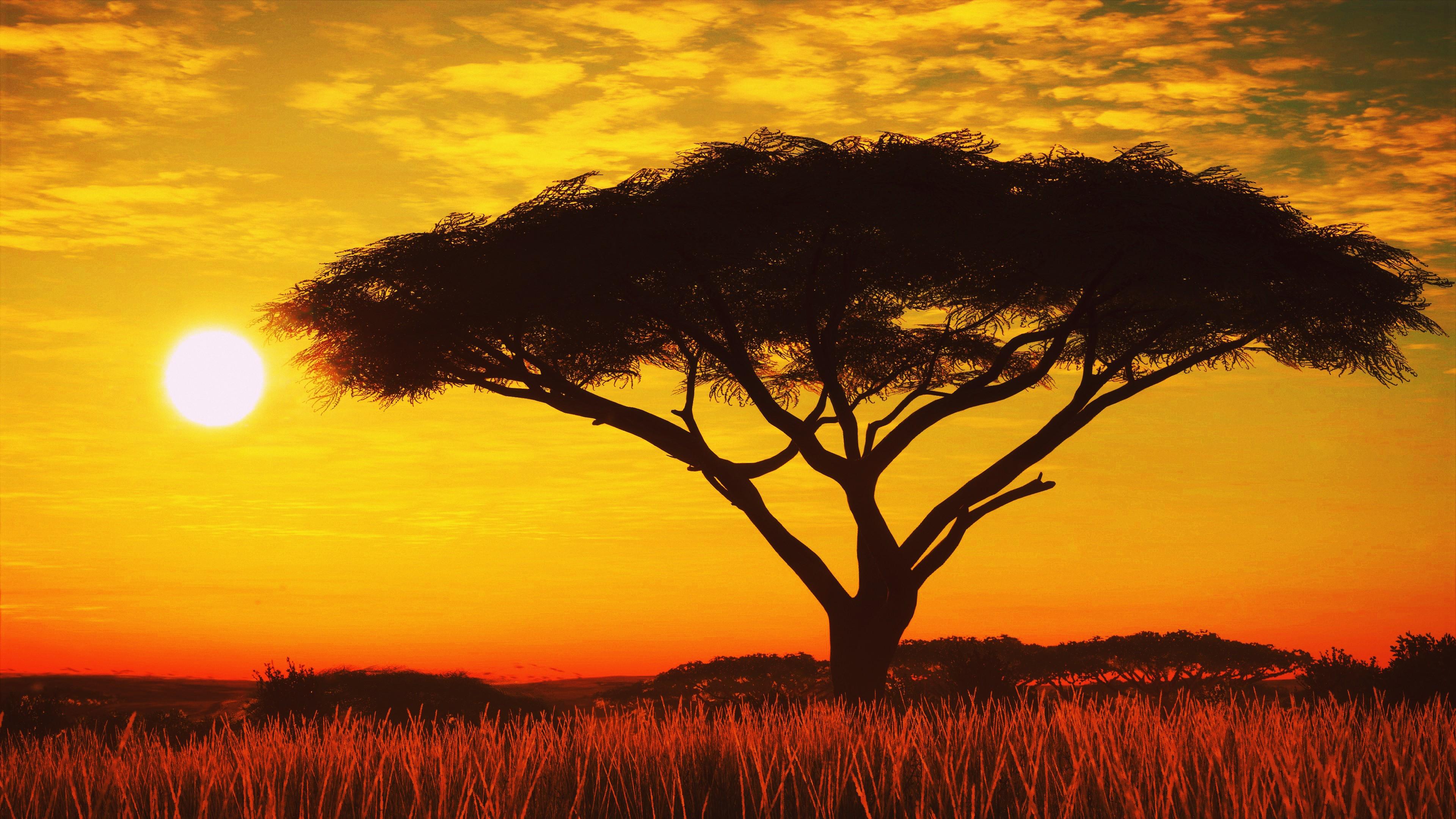 4k Nature Sunset Wallpapers - Top Free 4k Nature Sunset Backgrounds ...