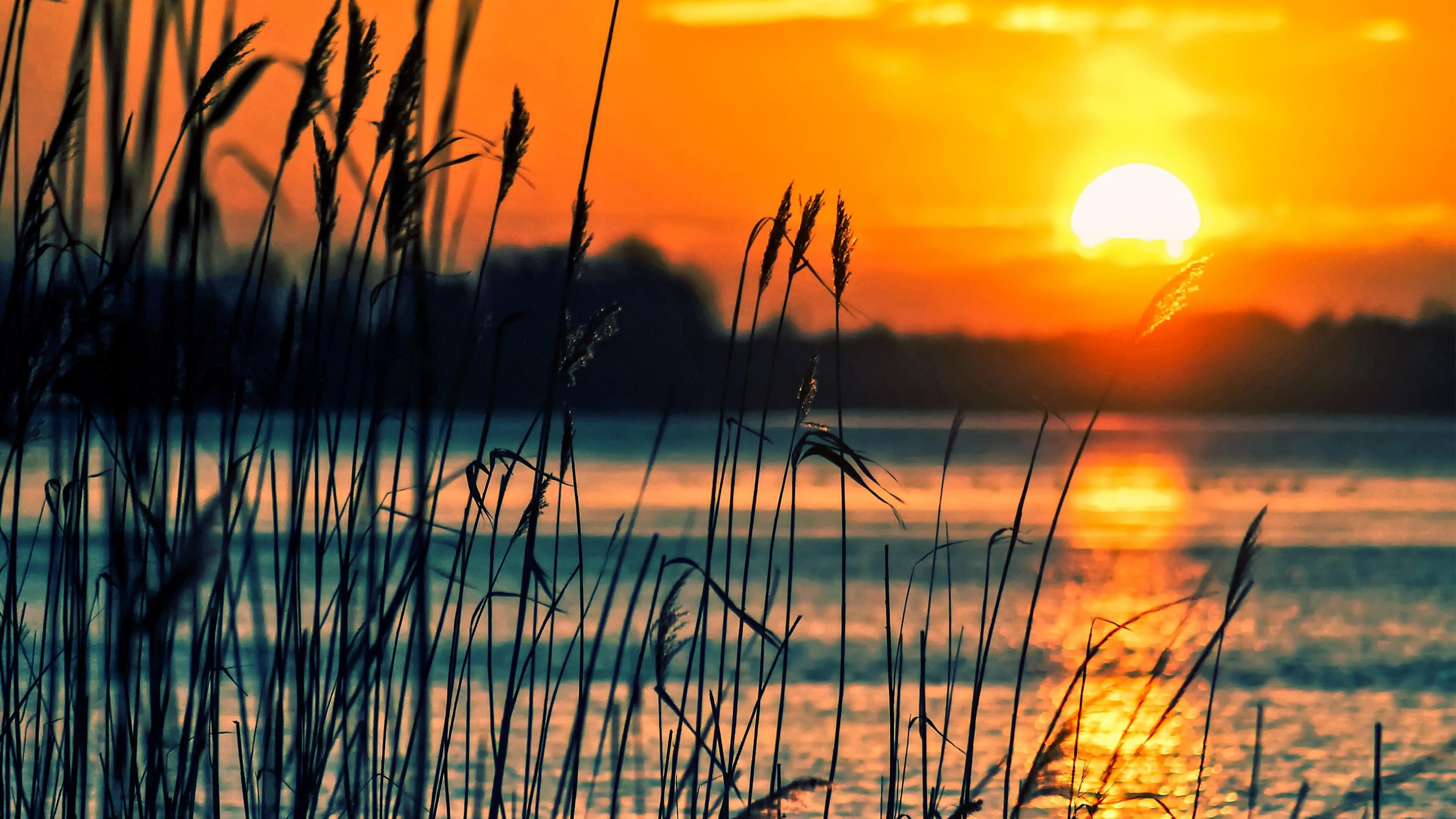 4k Nature Sunset Wallpapers - Top Free 4k Nature Sunset Backgrounds ...