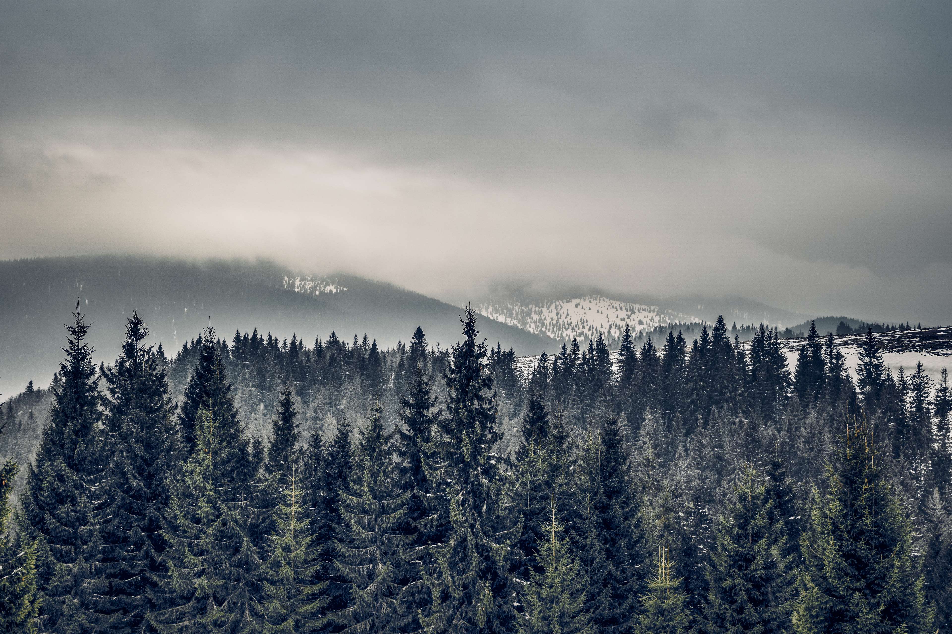 4K Dark Snow Wallpapers - Top Free 4K Dark Snow Backgrounds ...