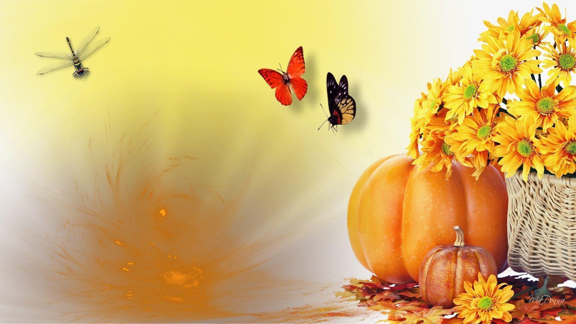 Harvest Festival Wallpapers - Top Free Harvest Festival Backgrounds ...