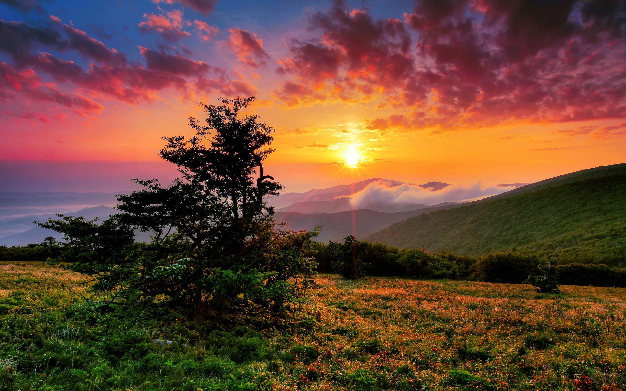 Sunset Mountain Forest Desktop Wallpapers - Top Free Sunset Mountain ...