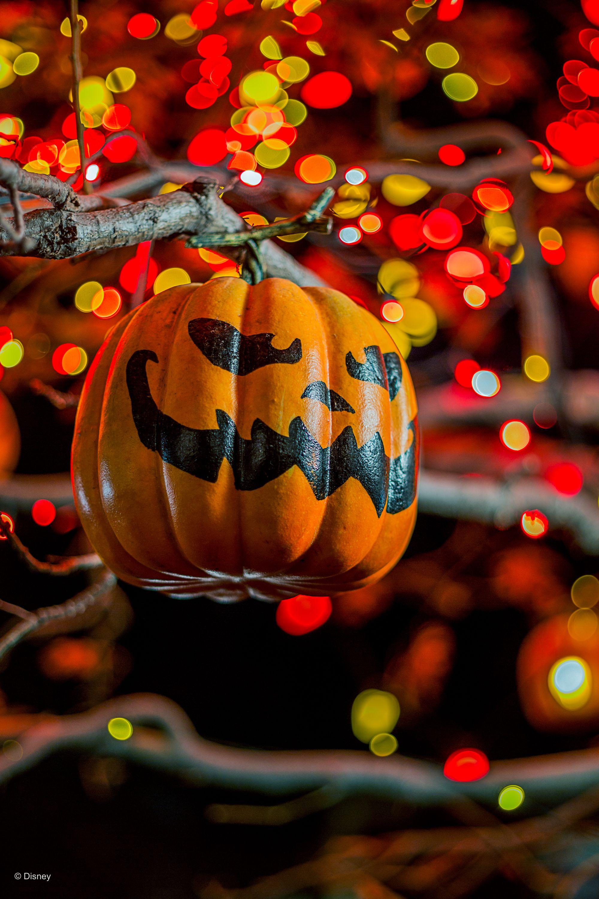 Halloween Cozy Wallpapers - Top Free Halloween Cozy Backgrounds ...