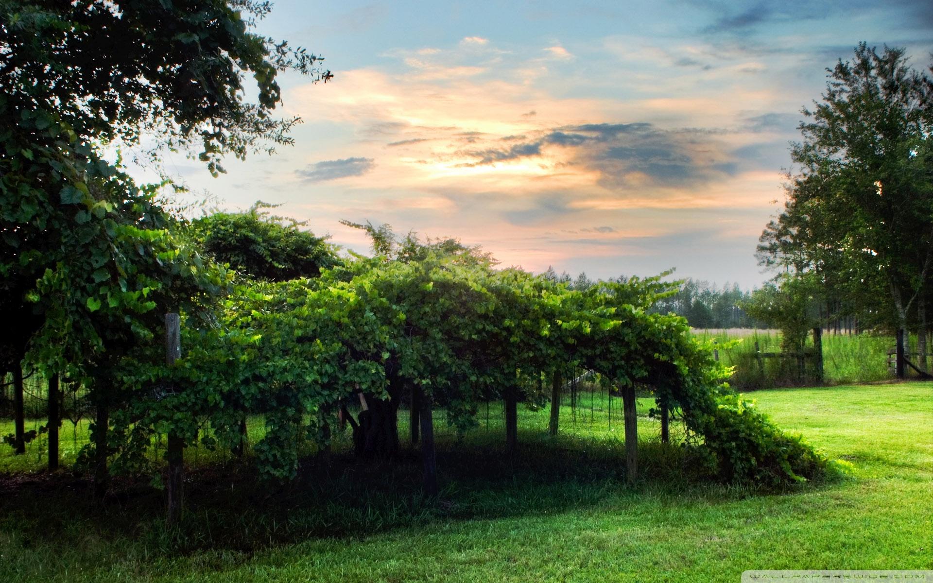 Summer Season Wallpapers - Top Free Summer Season Backgrounds ...