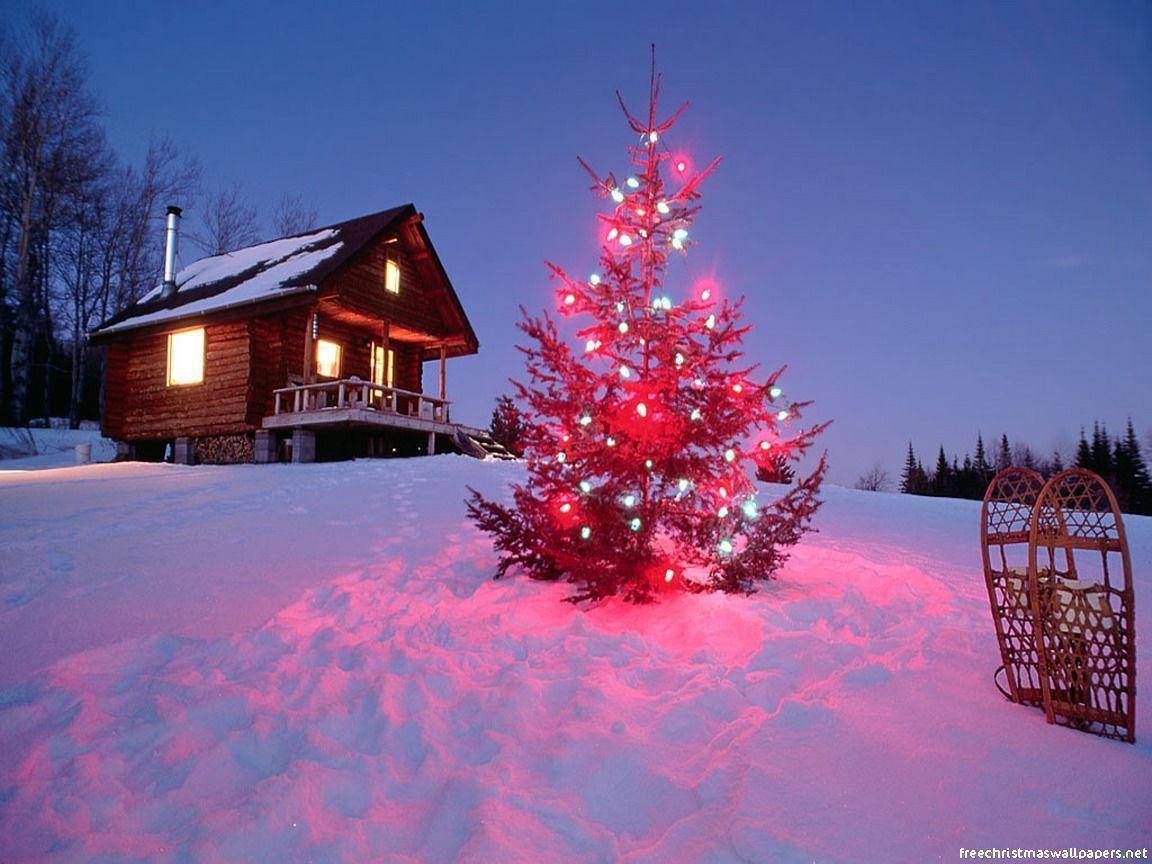 Pink Christmas Tree Wallpapers - Top Free Pink Christmas Tree ...