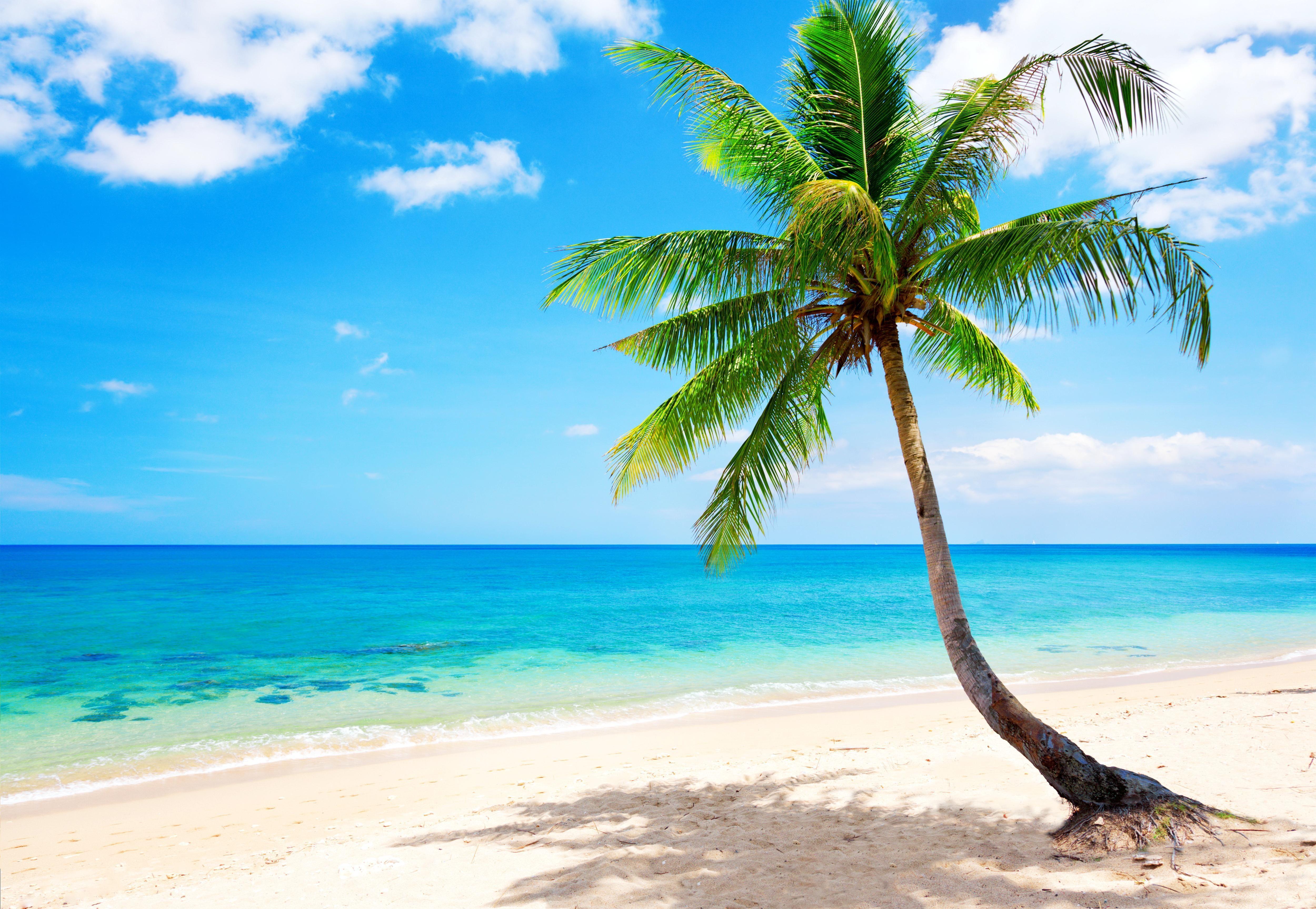 Sunny Tropical Beach Wallpapers - Top Free Sunny Tropical Beach ...