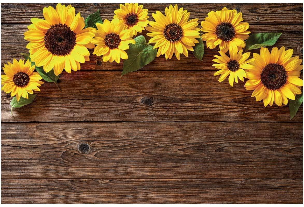 Rustic Daisy Wallpapers - Top Free Rustic Daisy Backgrounds ...