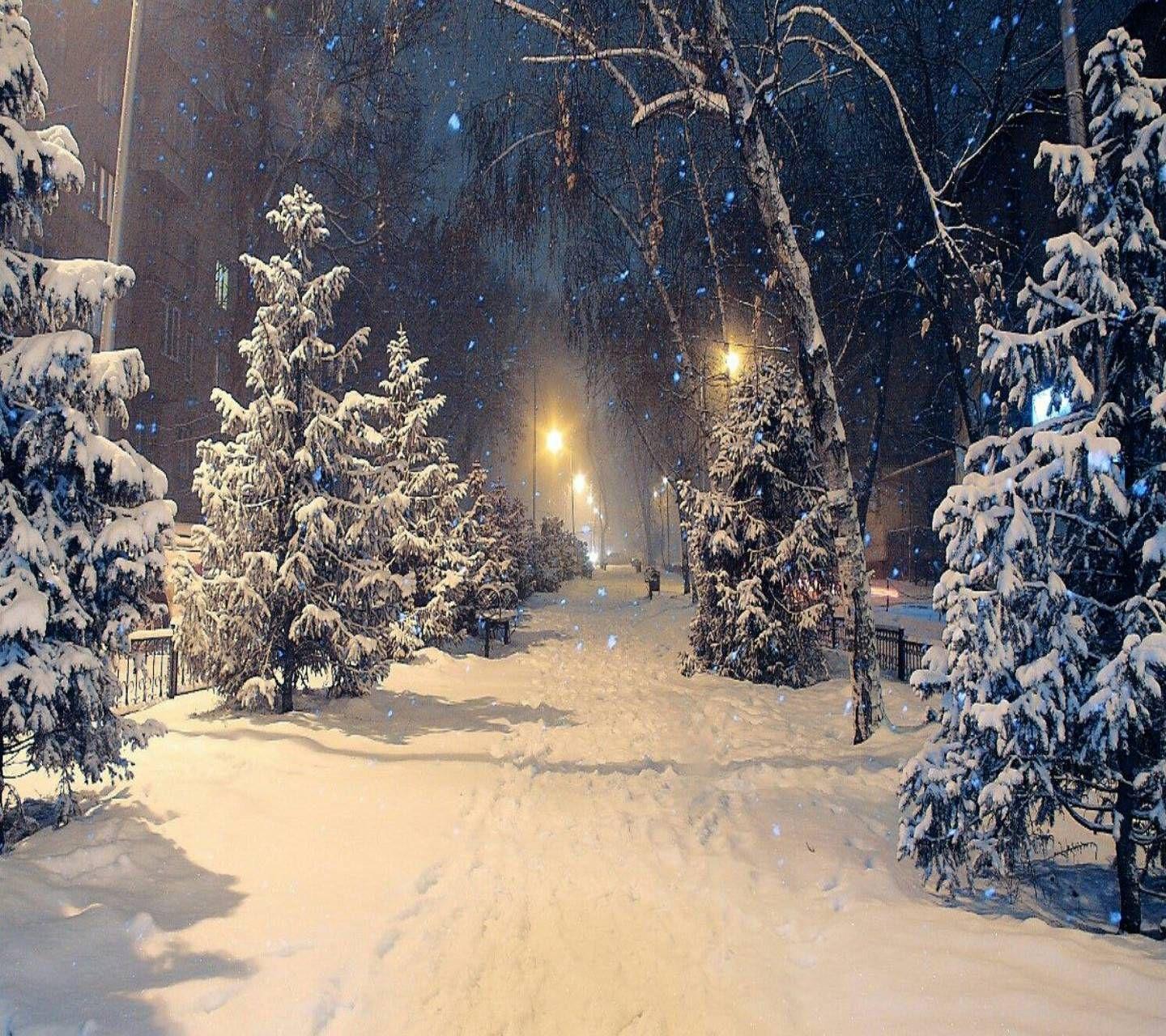 Winter Snowfall Wallpapers - Top Free Winter Snowfall Backgrounds ...