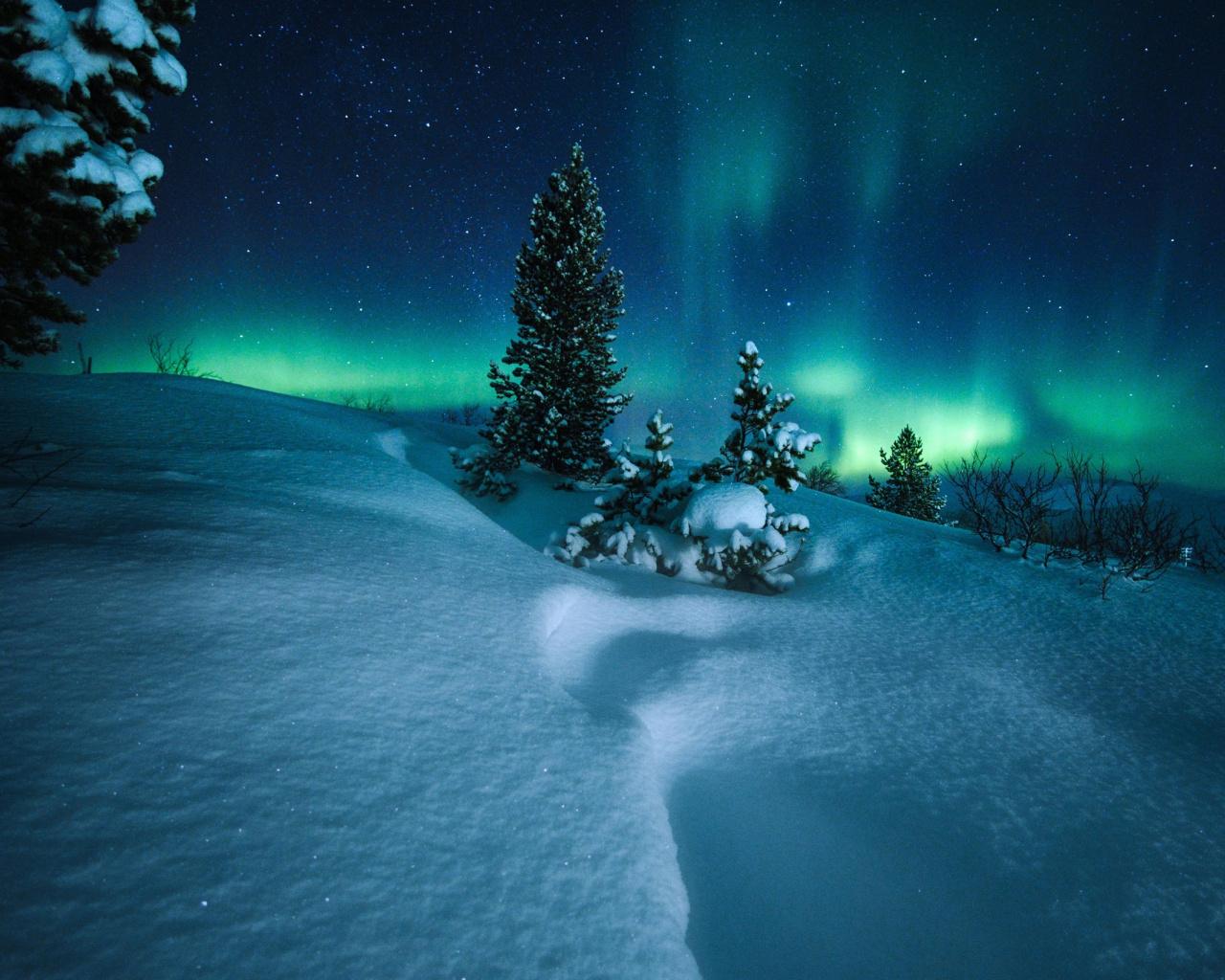 Winter Snowfall Wallpapers - Top Free Winter Snowfall Backgrounds ...