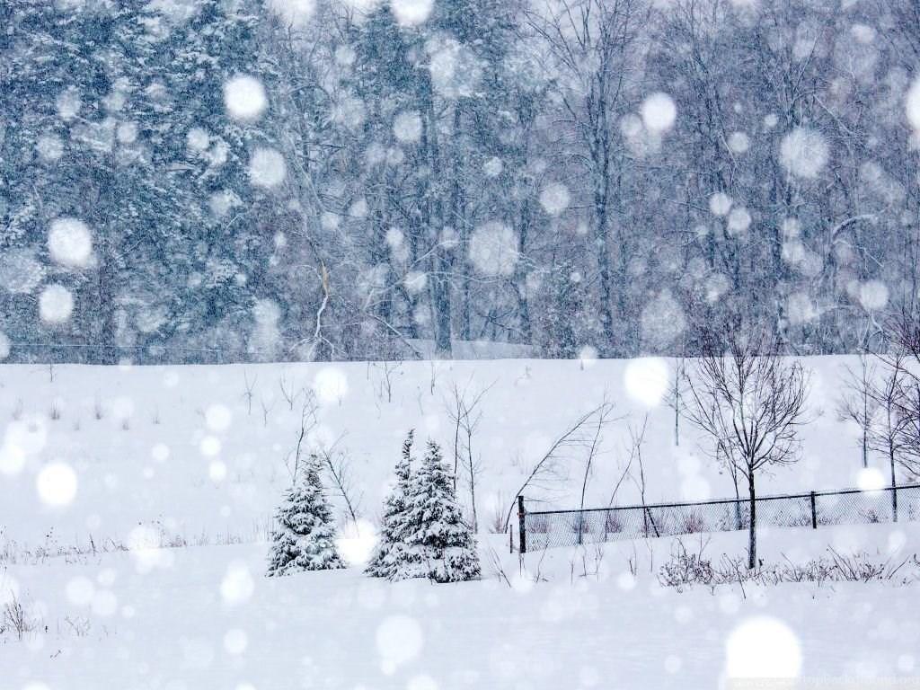 Winter Snowfall Wallpapers - Top Free Winter Snowfall Backgrounds ...