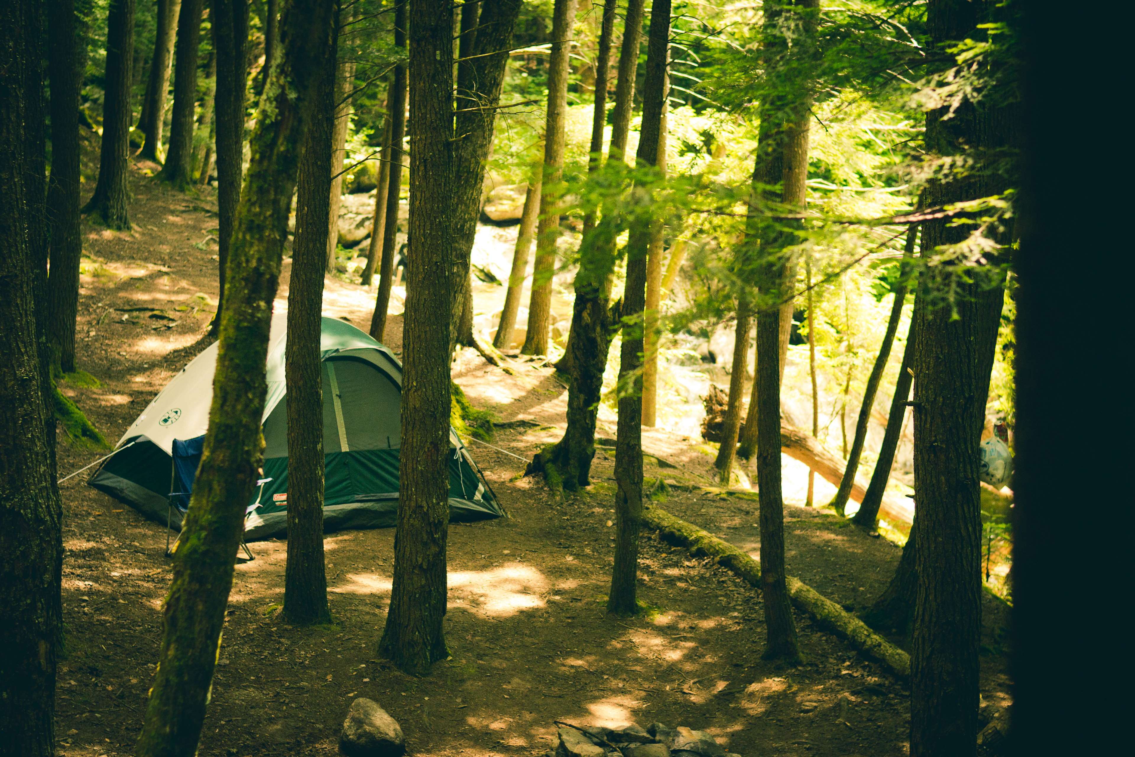 Camping Forest Wallpapers - Top Free Camping Forest Backgrounds ...