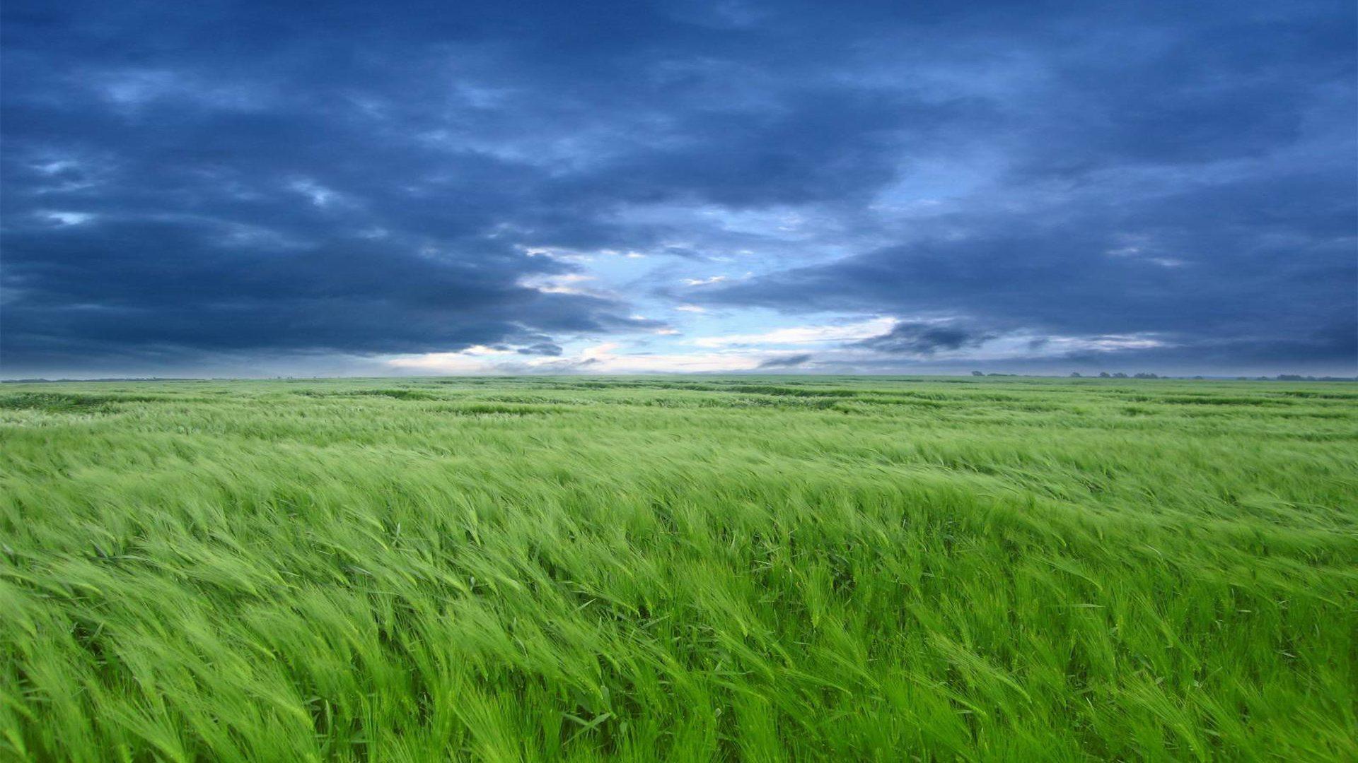 Green Clouds Wallpapers - Top Free Green Clouds Backgrounds ...