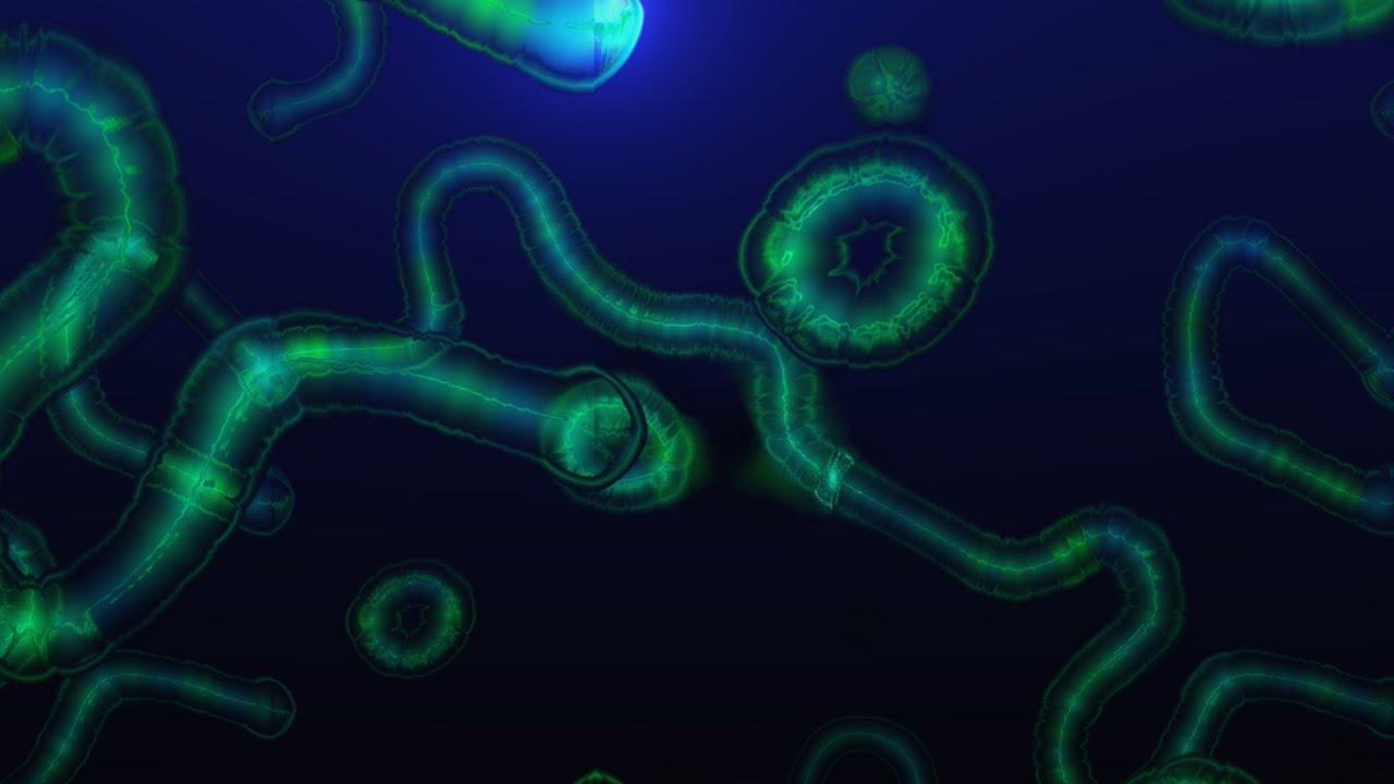 Biology Science Wallpapers - Top Free Biology Science Backgrounds ...