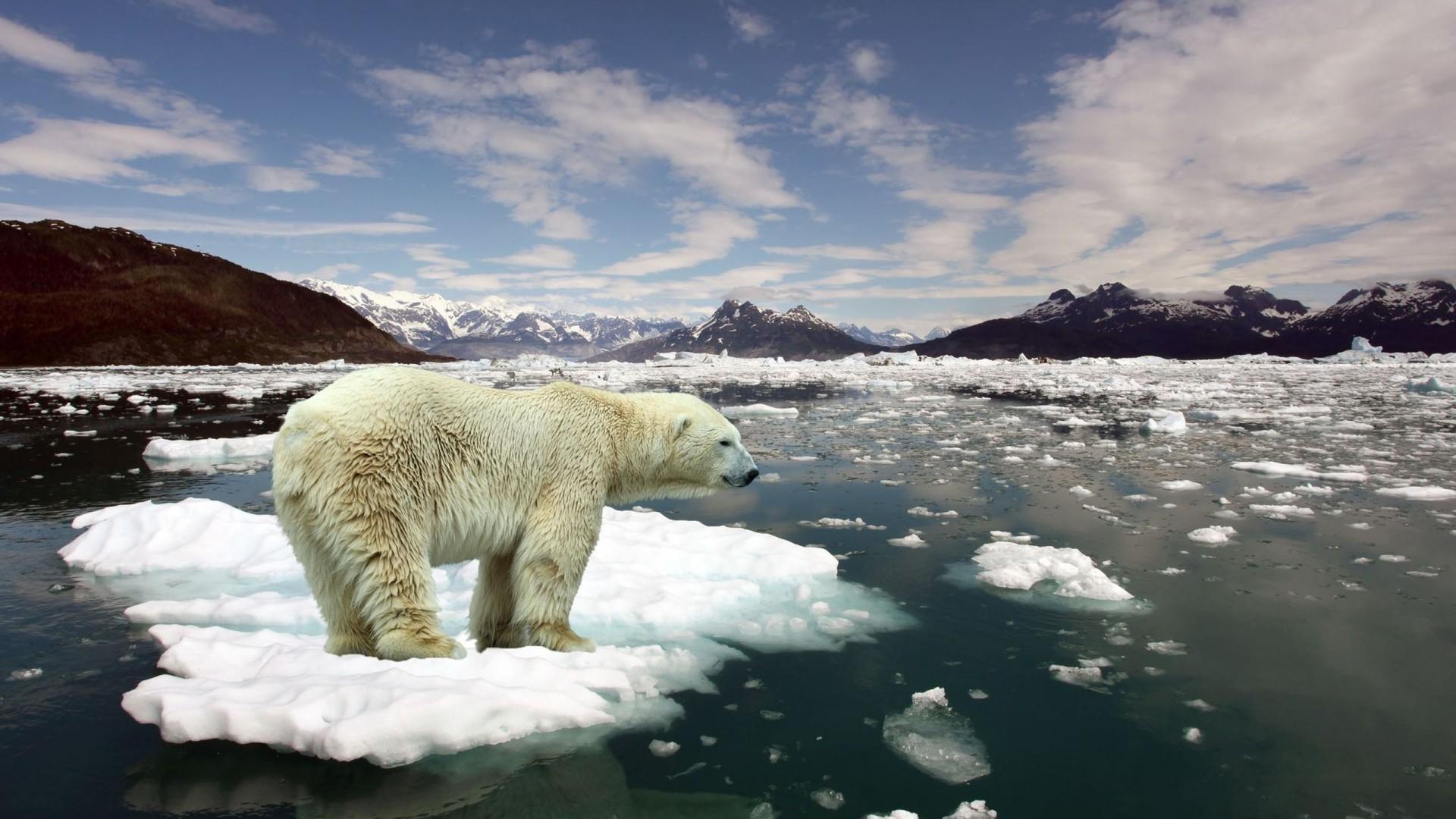Arctic Ocean Landscape Wallpapers - Top Free Arctic Ocean Landscape ...