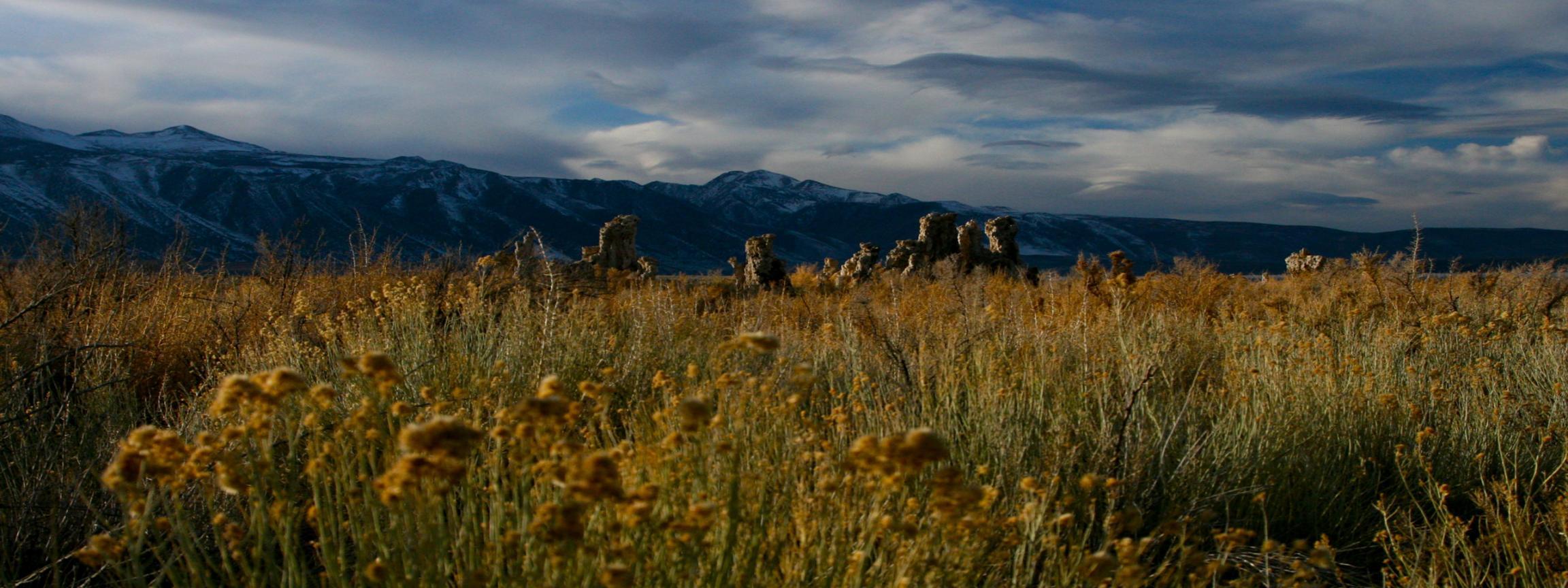 Monitor Wallpapers - Top Free Monitor Backgrounds - WallpaperAccess