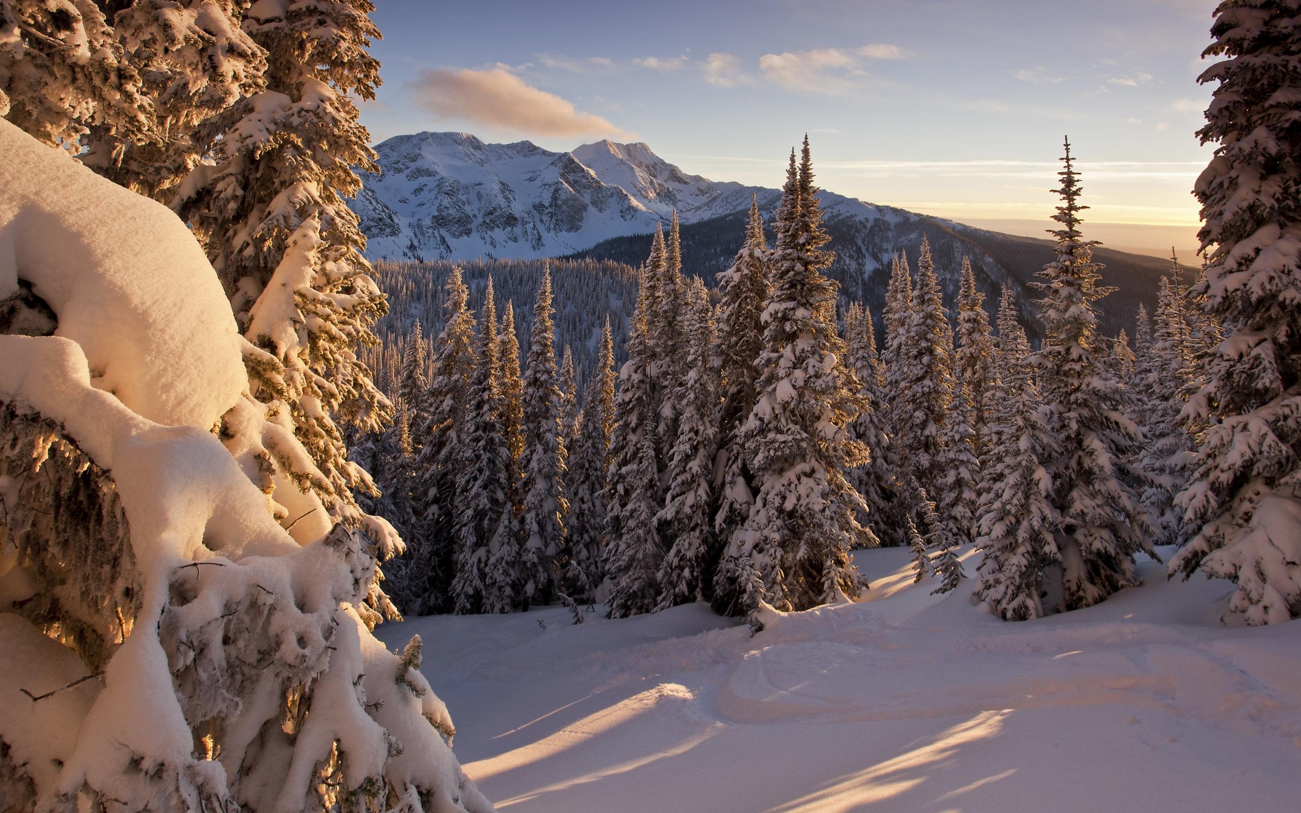 Winter Sun Desktop Wallpapers - Top Free Winter Sun Desktop Backgrounds ...