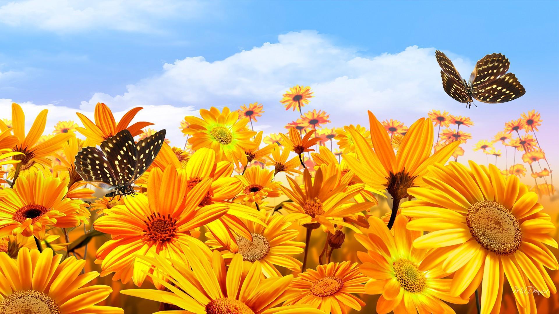 Bright Flower Desktop Wallpapers - Top Free Bright Flower Desktop ...