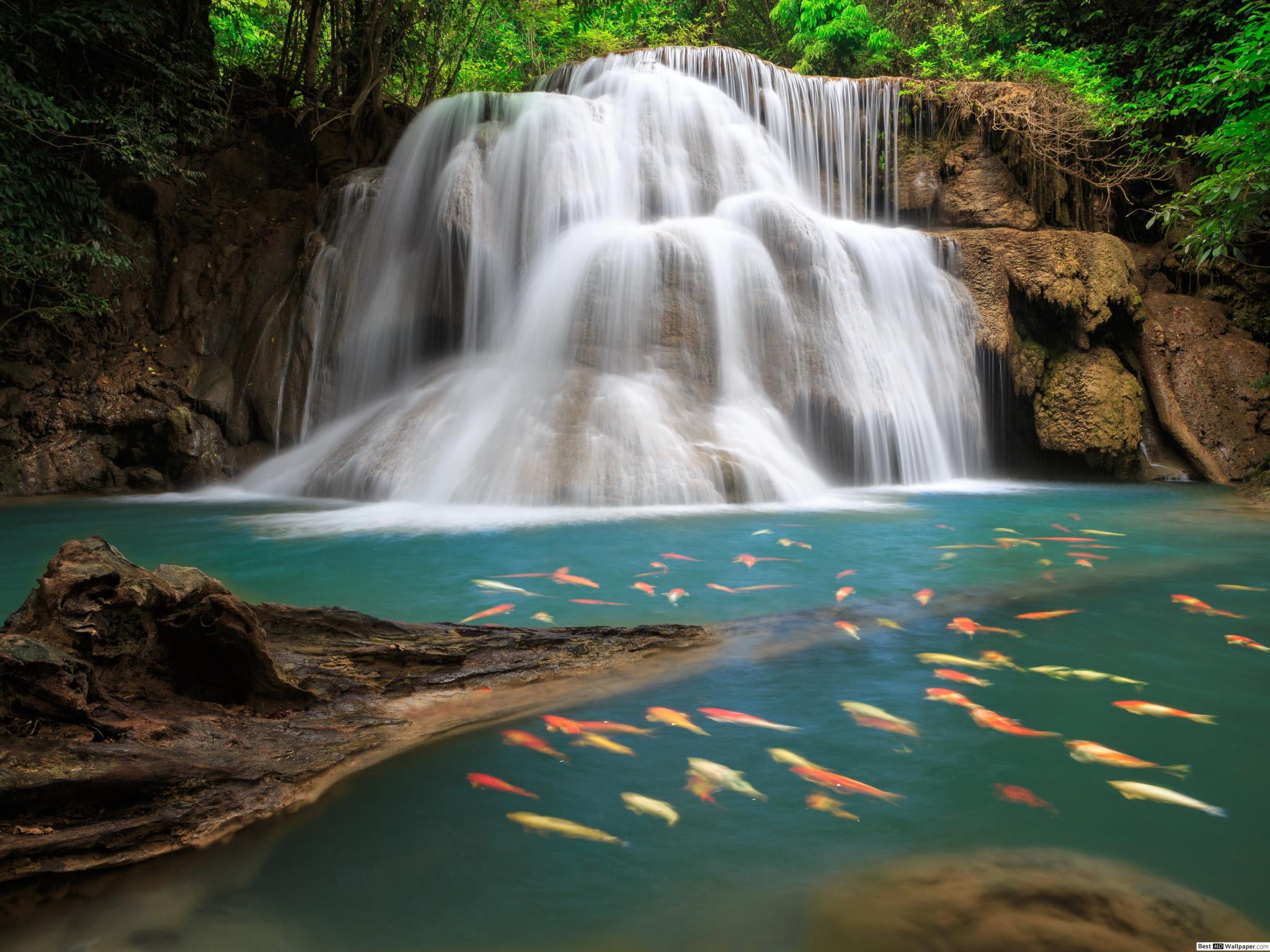 Exotic Waterfall Wallpapers - Top Free Exotic Waterfall Backgrounds ...