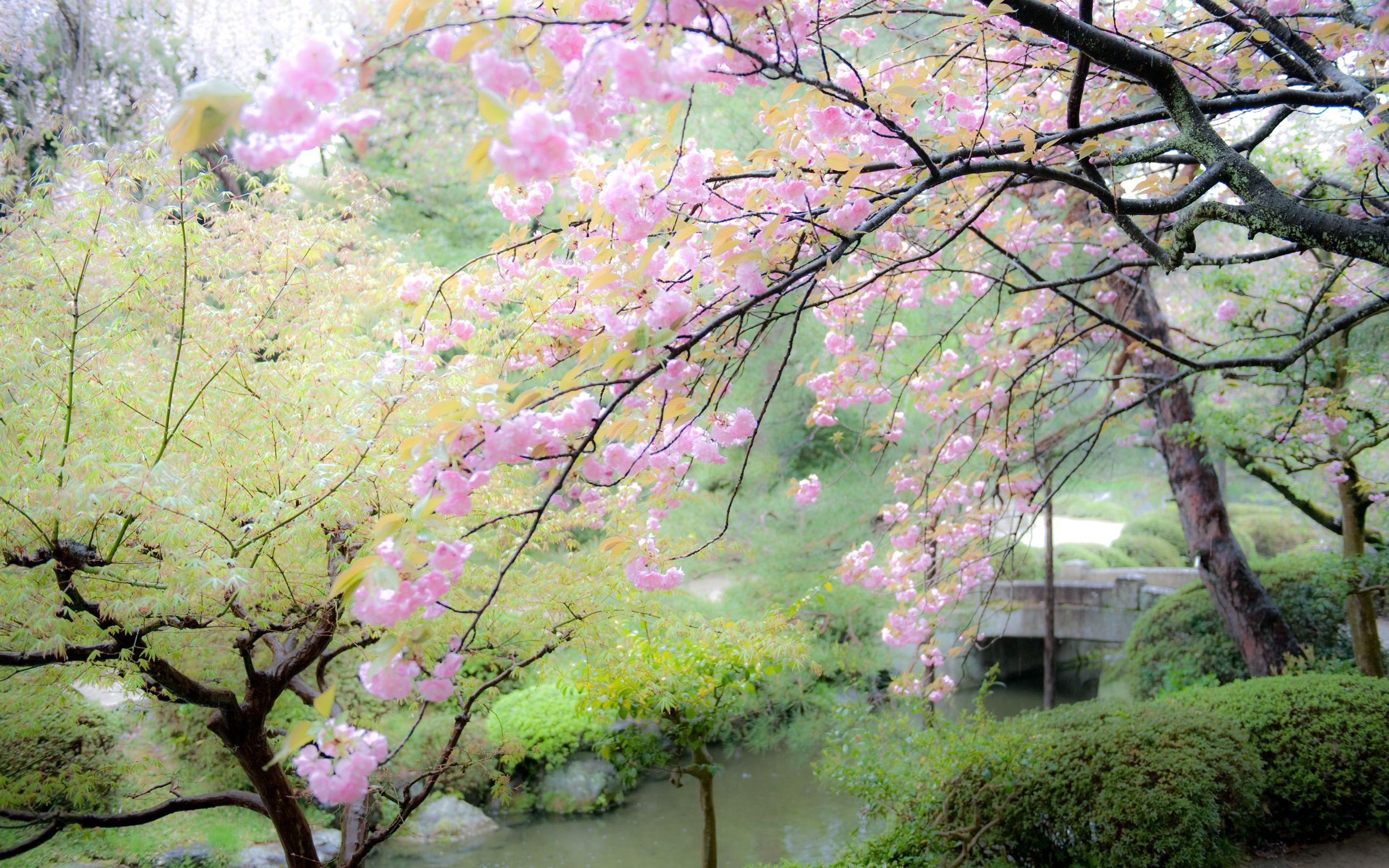 Zen Spring Wallpapers - Top Free Zen Spring Backgrounds - WallpaperAccess