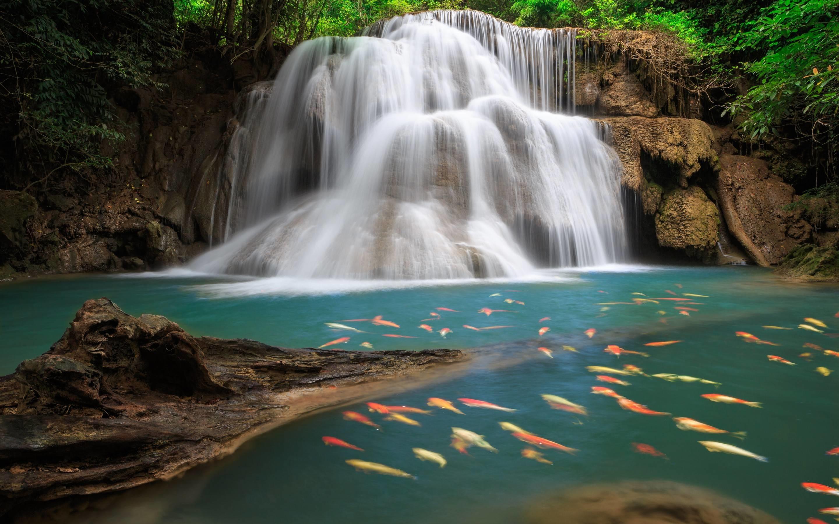 Island Waterfall Wallpapers - Top Free Island Waterfall Backgrounds ...