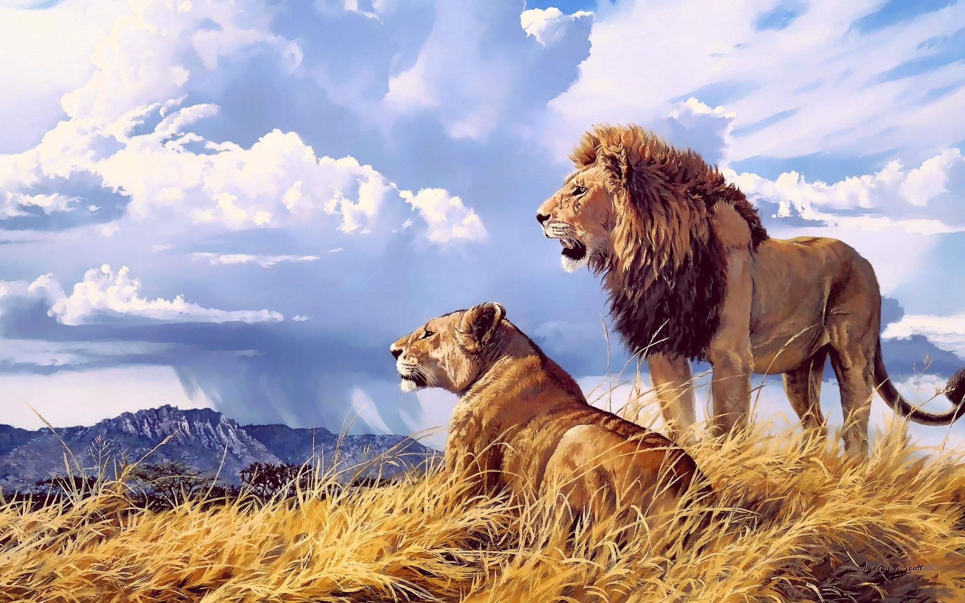 Big Lion Wallpapers - Top Free Big Lion Backgrounds - WallpaperAccess