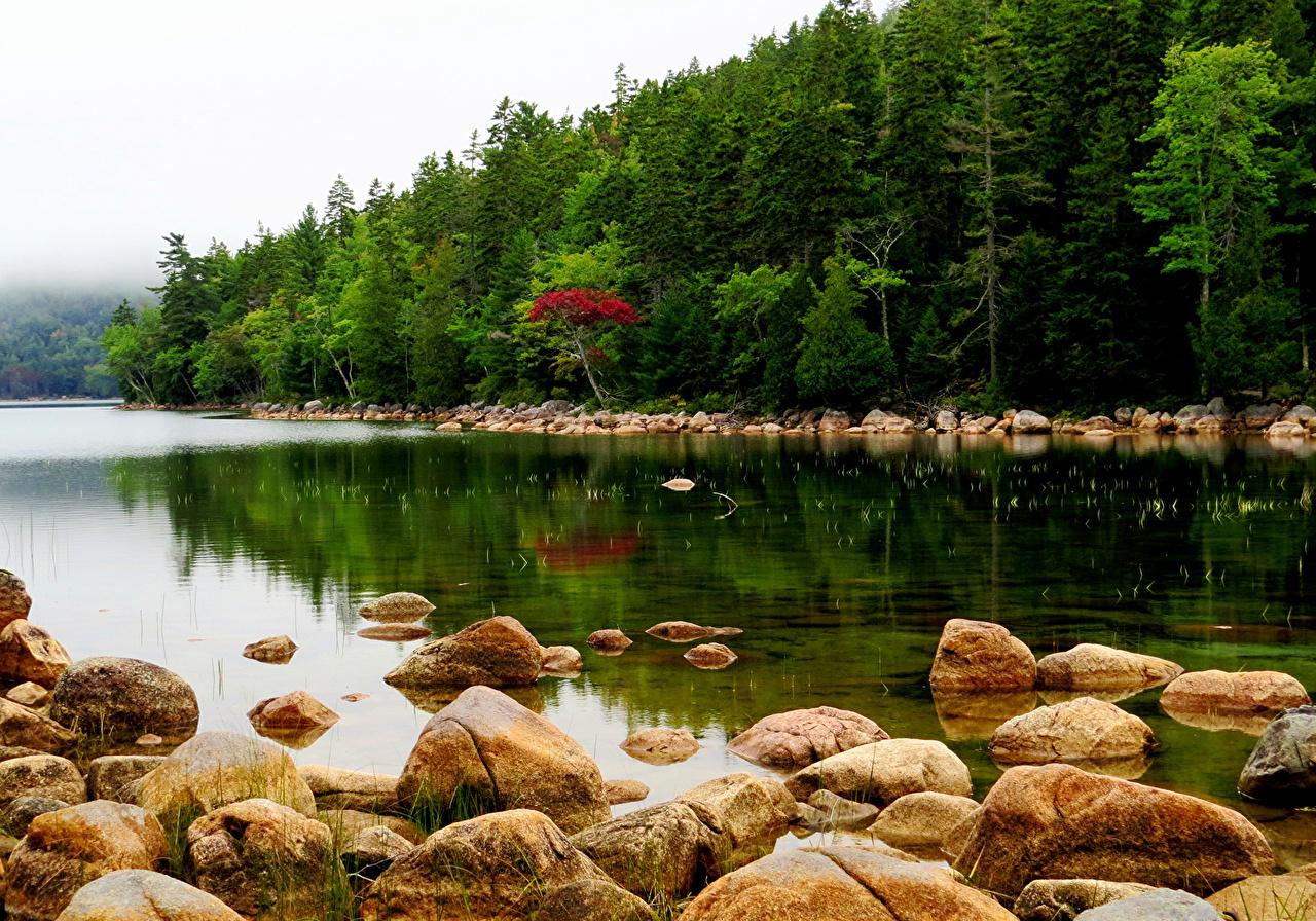 Acadia National Park Maine Wallpapers - Top Free Acadia National Park ...
