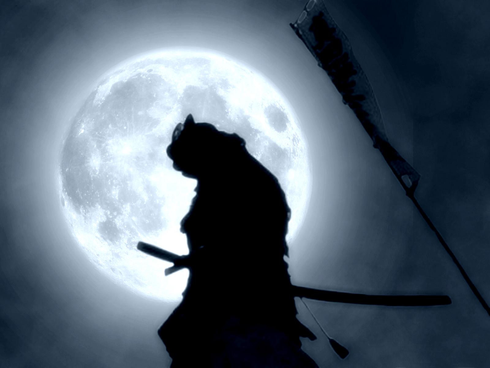 Blue Samurai Wallpapers - Top Free Blue Samurai Backgrounds ...
