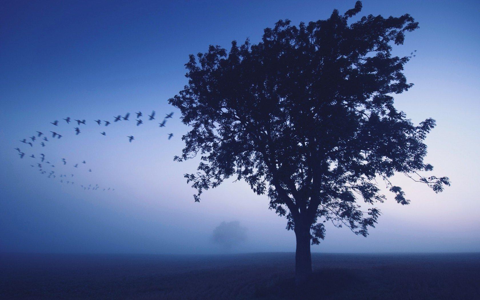 Lonely Nature Wallpapers - Top Free Lonely Nature Backgrounds ...