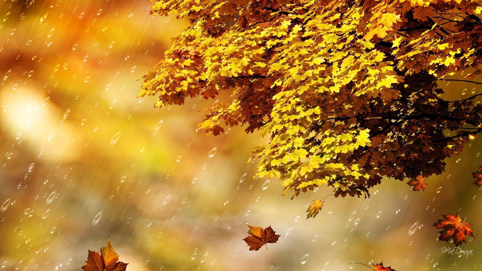 Autumn Rain Desktop Wallpapers - Top Free Autumn Rain Desktop ...