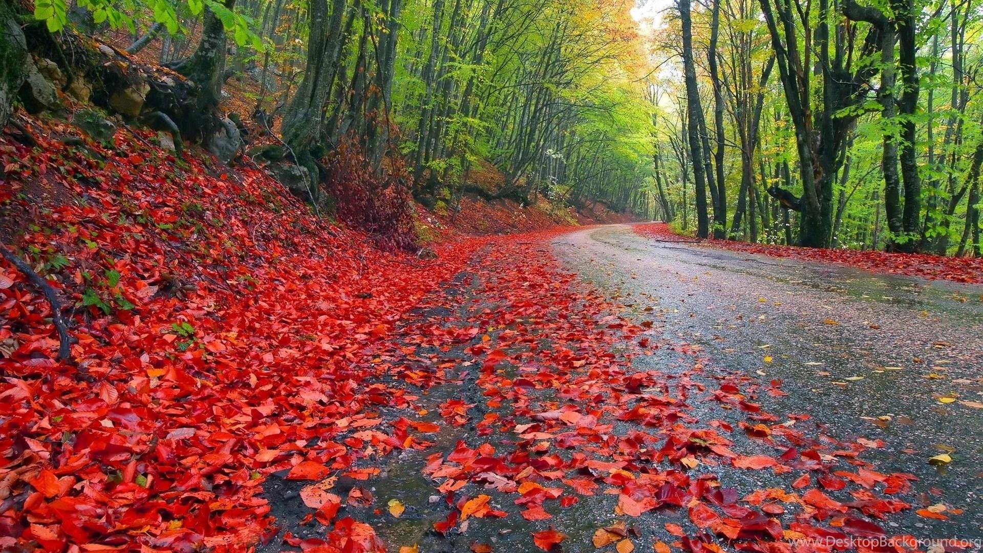Autumn Rain Desktop Wallpapers - Top Free Autumn Rain Desktop ...