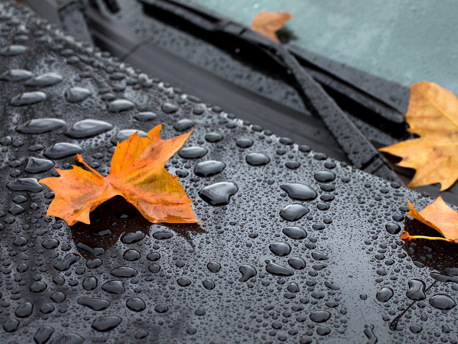 Autumn Rain Desktop Wallpapers - Top Free Autumn Rain Desktop ...