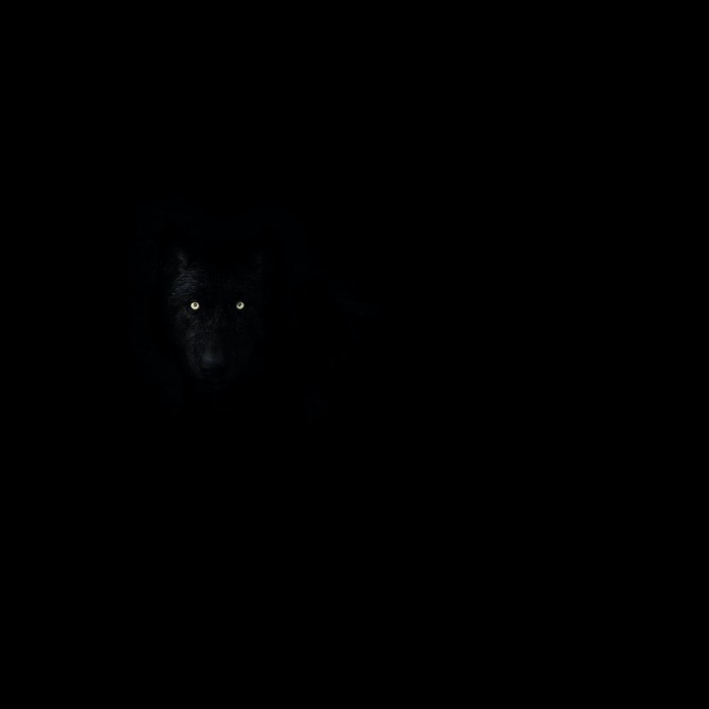 Scary Black Wallpapers - Top Free Scary Black Backgrounds - WallpaperAccess