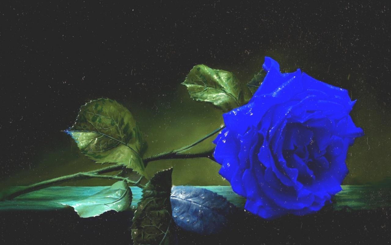 Calm Night Wallpapers - Top Free Calm Night Backgrounds - WallpaperAccess