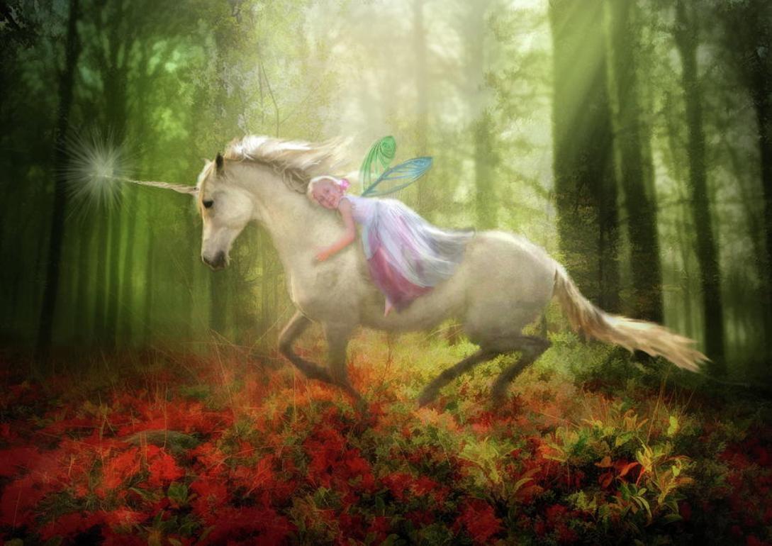 Fairy Unicorn Wallpapers - Top Free Fairy Unicorn Backgrounds - WallpaperAccess