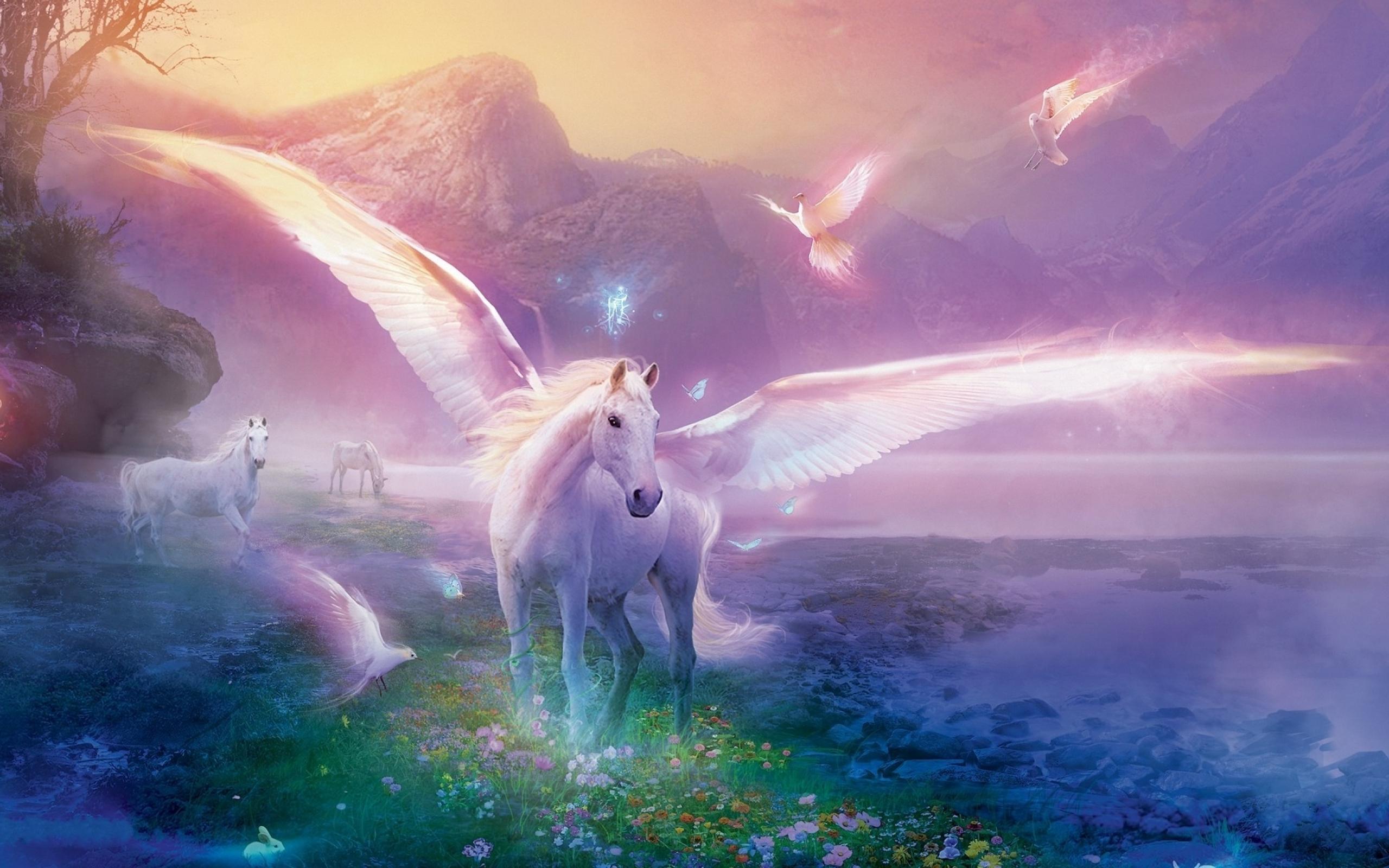 Fairy Unicorn Wallpapers - Top Free Fairy Unicorn Backgrounds - WallpaperAccess