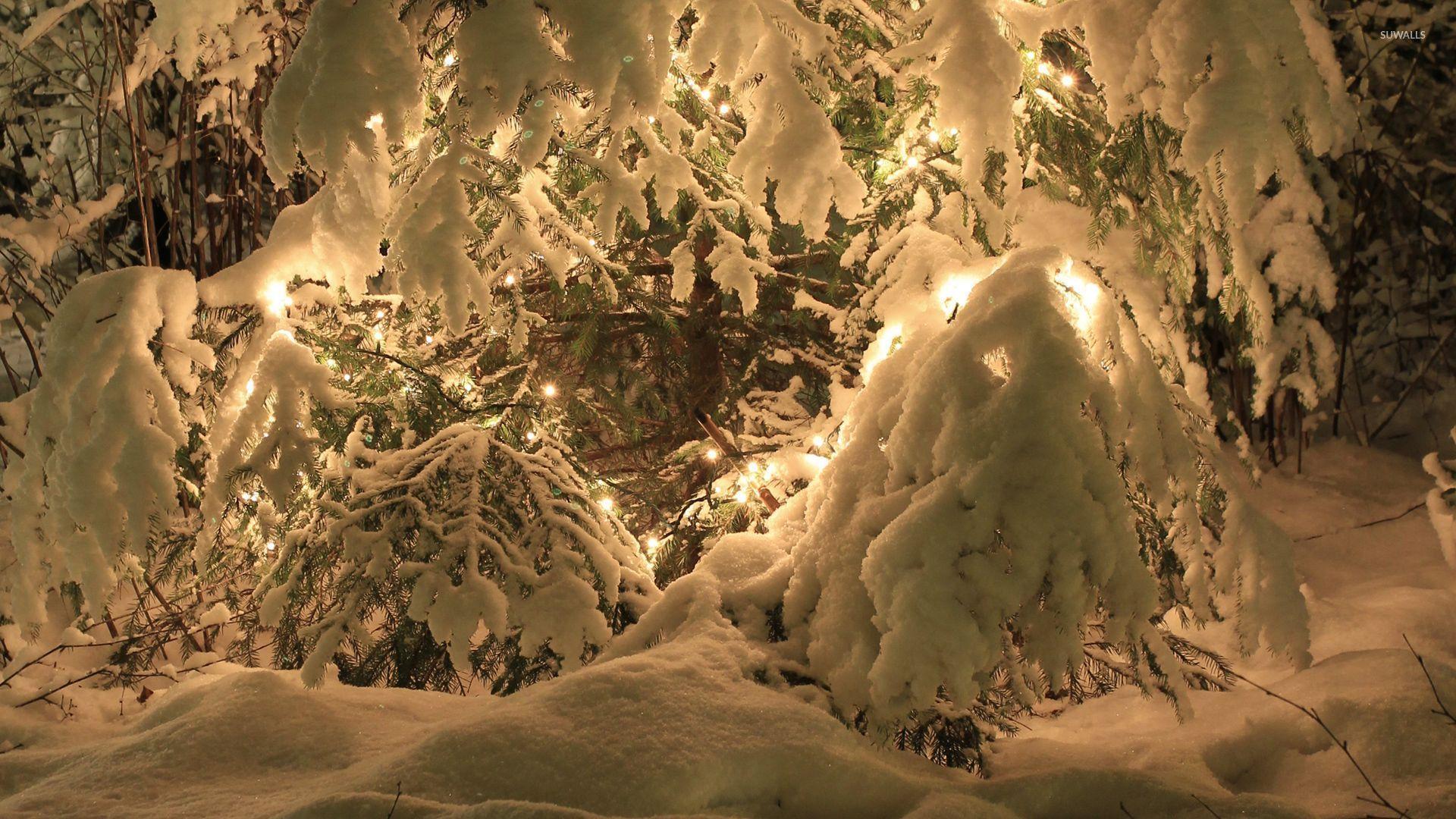 Lights Snow Wallpapers - Top Free Lights Snow Backgrounds - WallpaperAccess