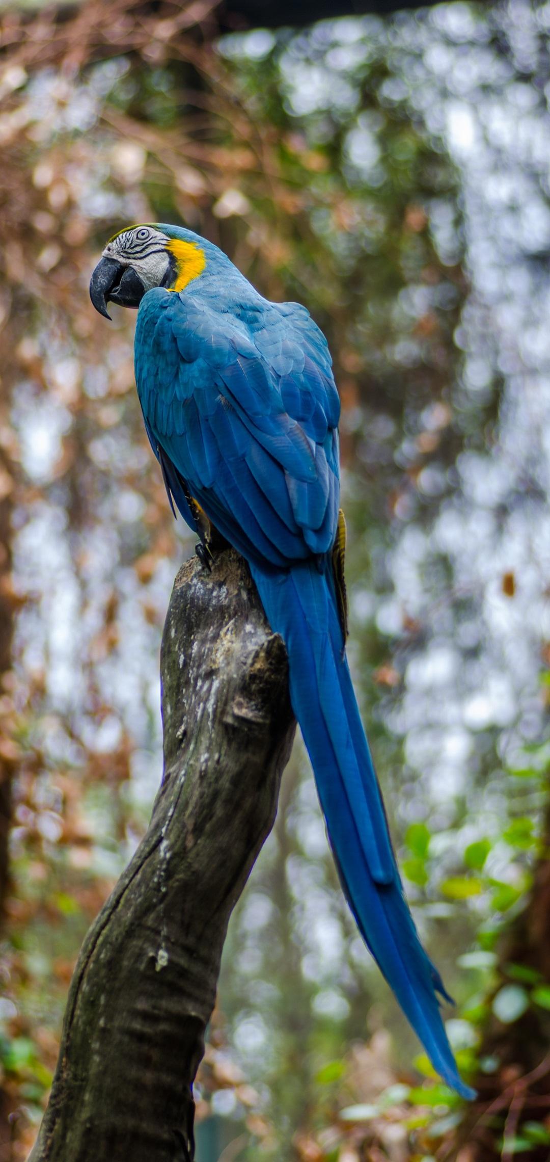 Samsung M30s Wallpapers - Top Free Samsung M30s Backgrounds ...