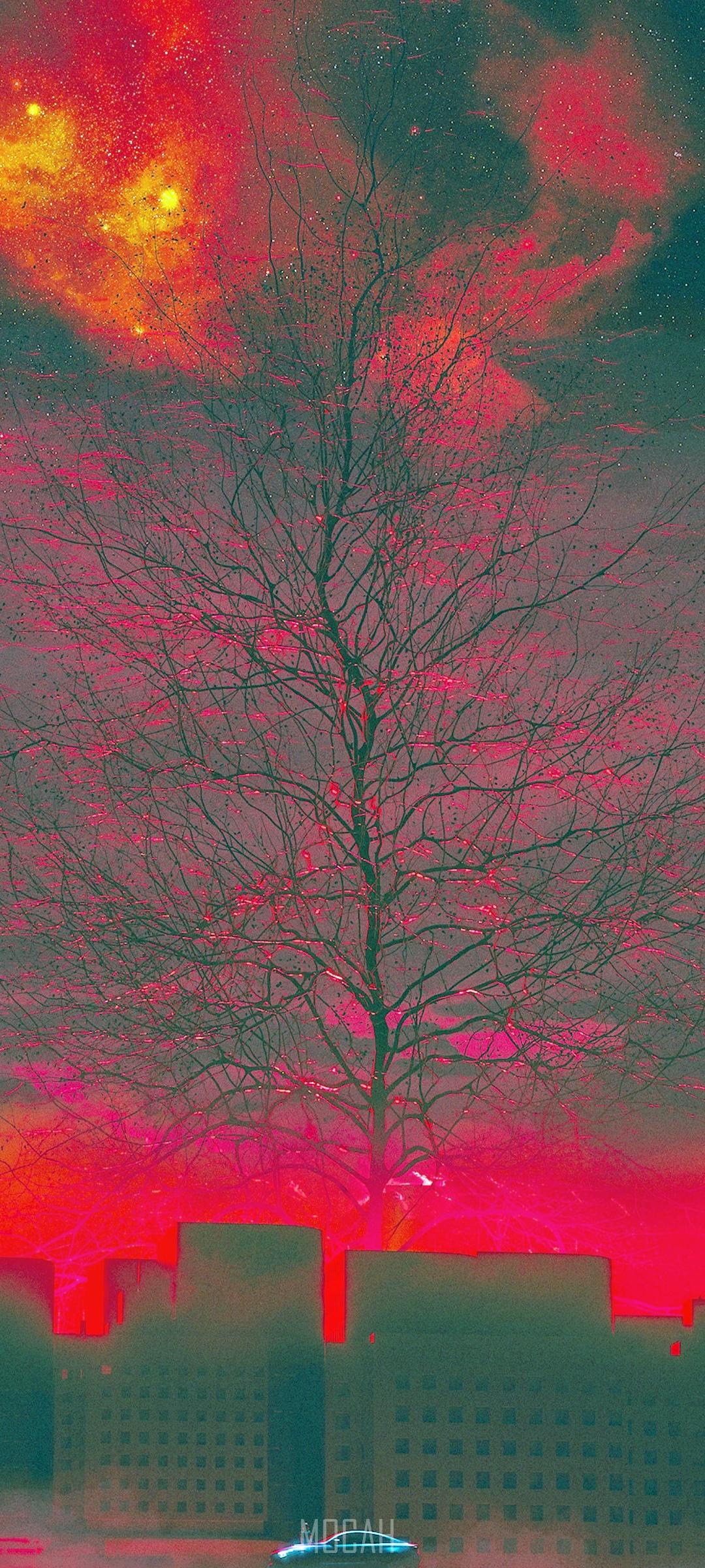 Samsung M30s Wallpapers - Top Free Samsung M30s Backgrounds ...