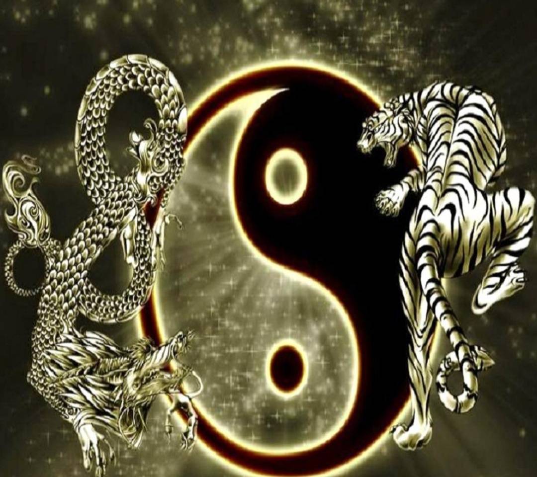 Tiger vs Dragon Wallpapers - Top Free Tiger vs Dragon Backgrounds ...