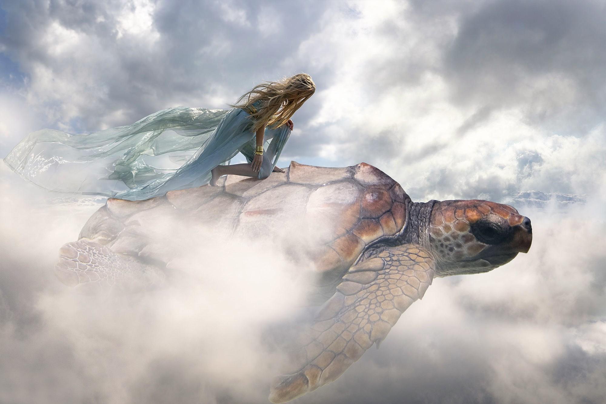 Turtle Art Wallpapers - Top Free Turtle Art Backgrounds - WallpaperAccess