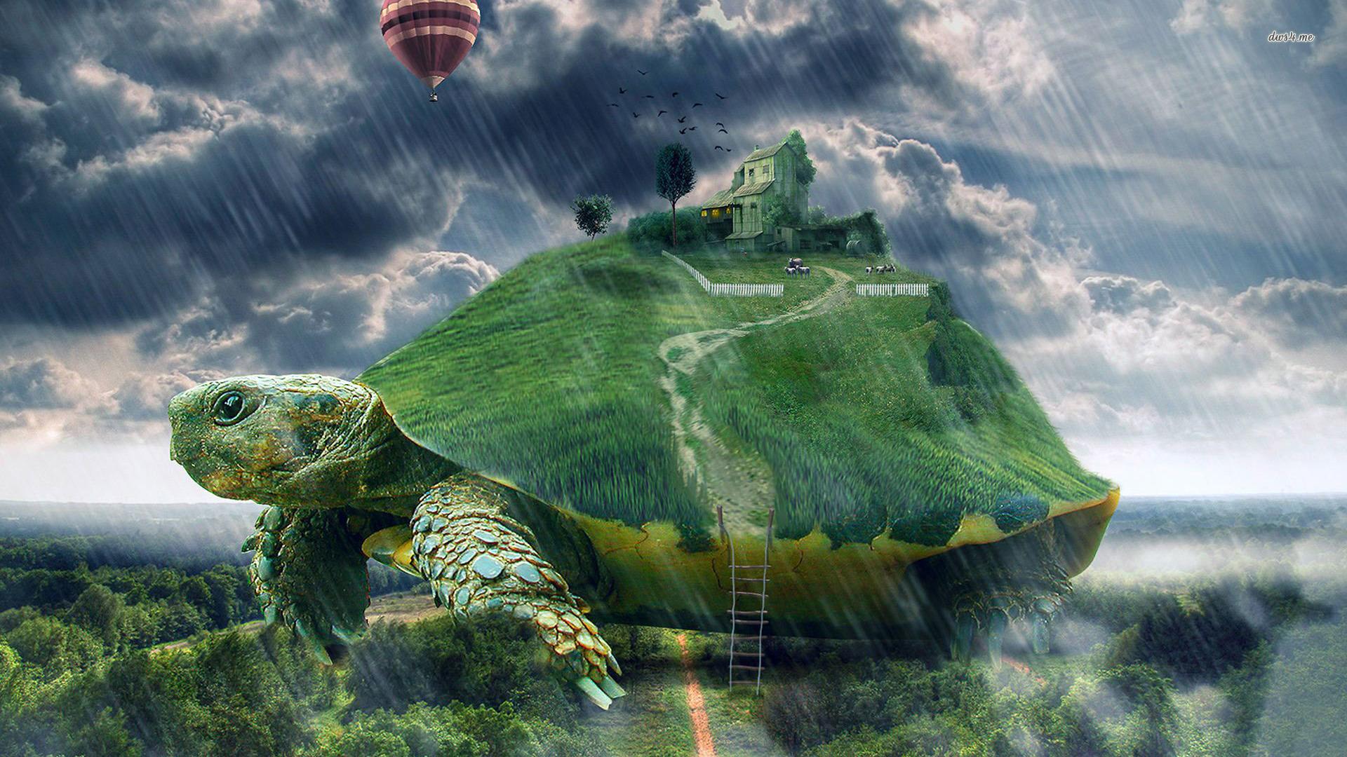 Turtle Art Wallpapers - Top Free Turtle Art Backgrounds - WallpaperAccess