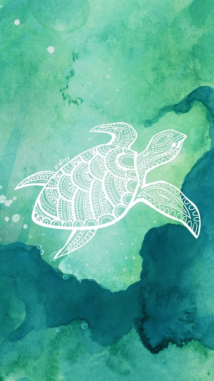 Turtle Art Wallpapers - Top Free Turtle Art Backgrounds - WallpaperAccess