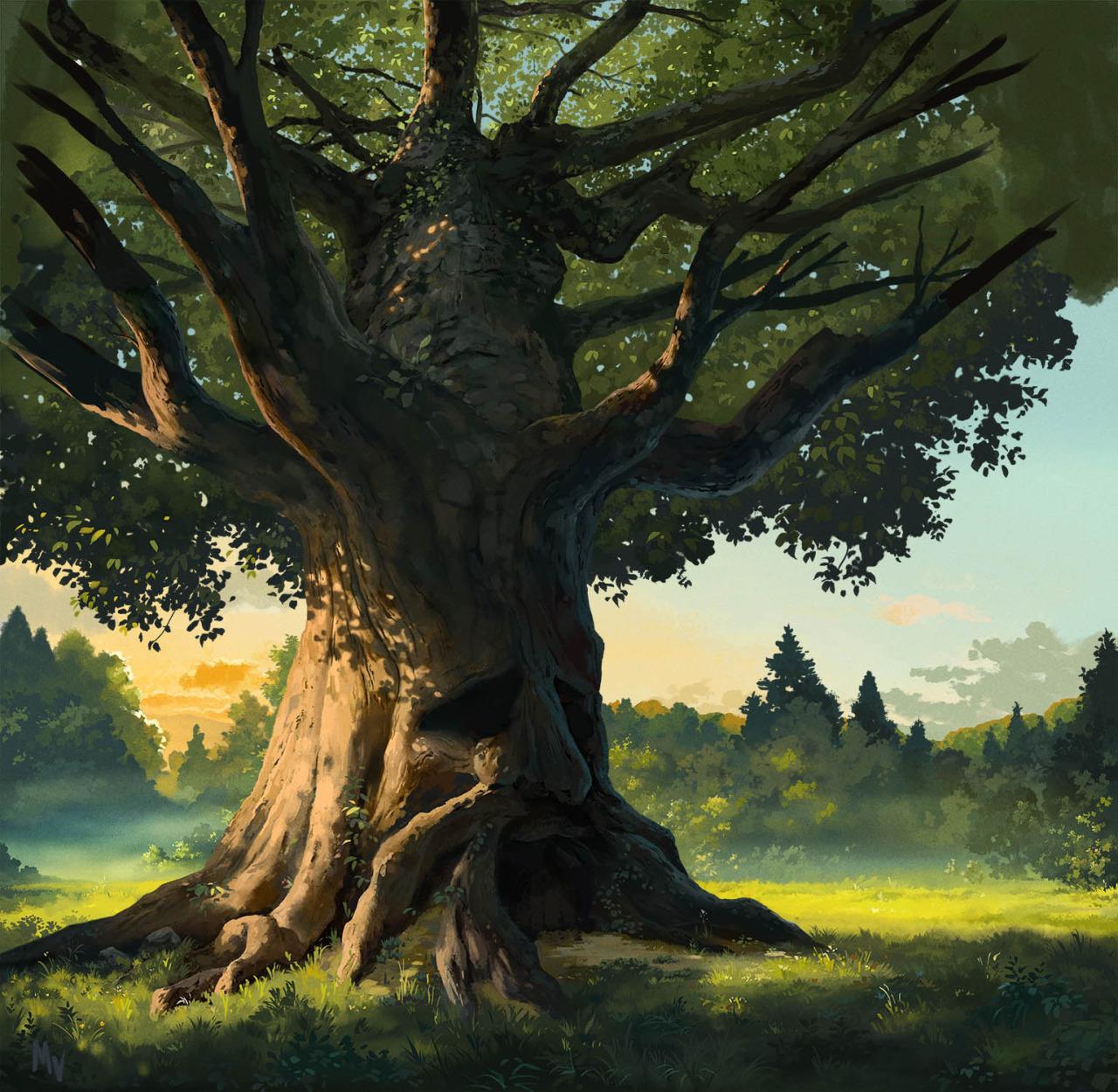 Deku Tree Wallpapers - Top Free Deku Tree Backgrounds - WallpaperAccess