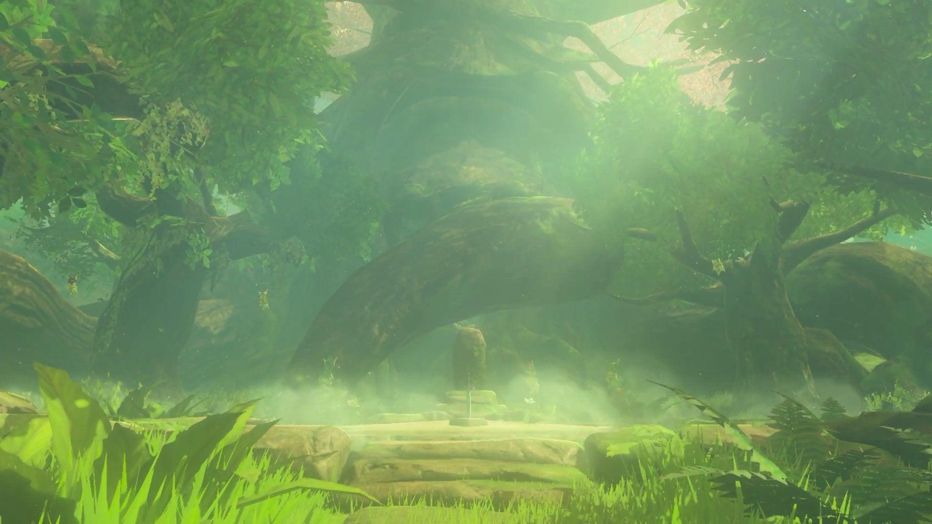 Deku Tree Wallpapers - Top Free Deku Tree Backgrounds - WallpaperAccess