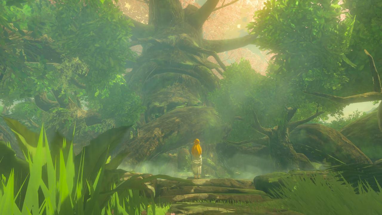 Deku Tree Wallpapers - Top Free Deku Tree Backgrounds - WallpaperAccess