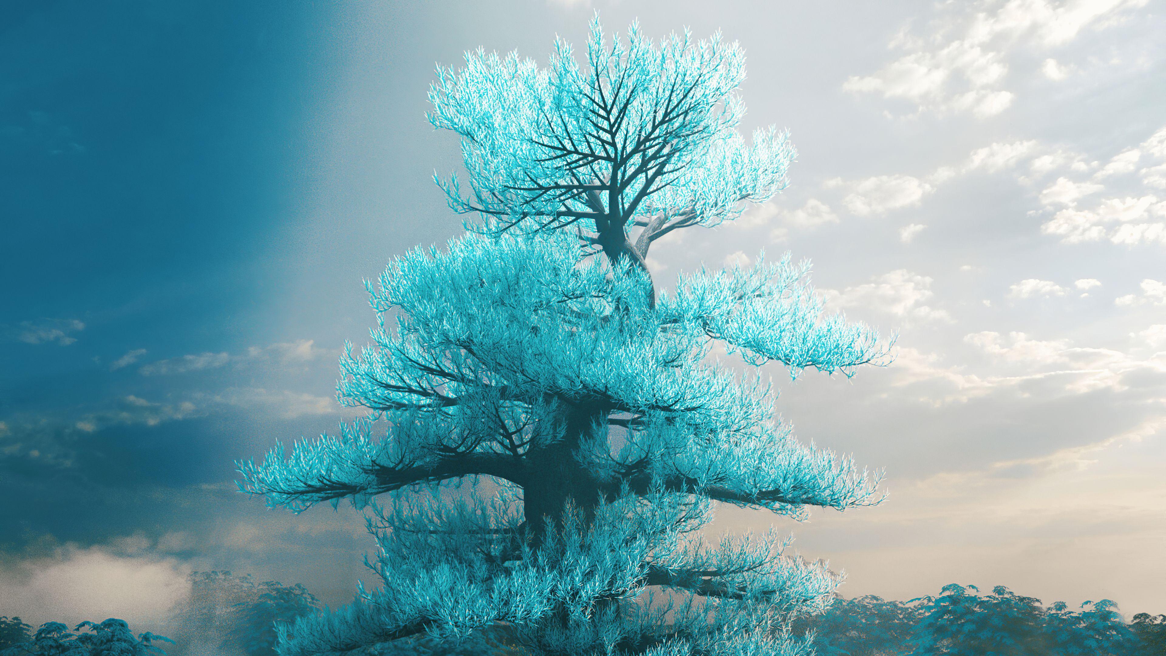 Deku Tree Wallpapers - Top Free Deku Tree Backgrounds - WallpaperAccess