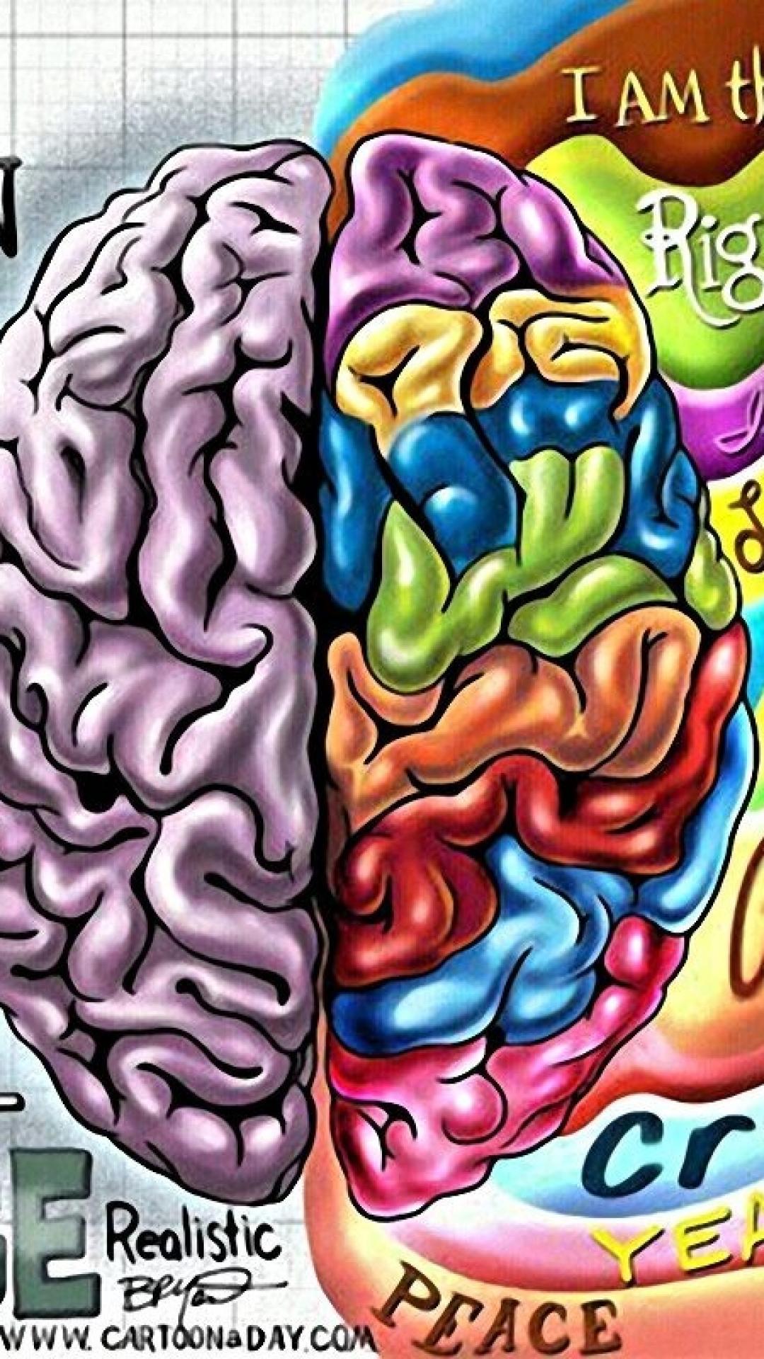 Cartoon Brain Wallpapers - Top Free Cartoon Brain Backgrounds ...